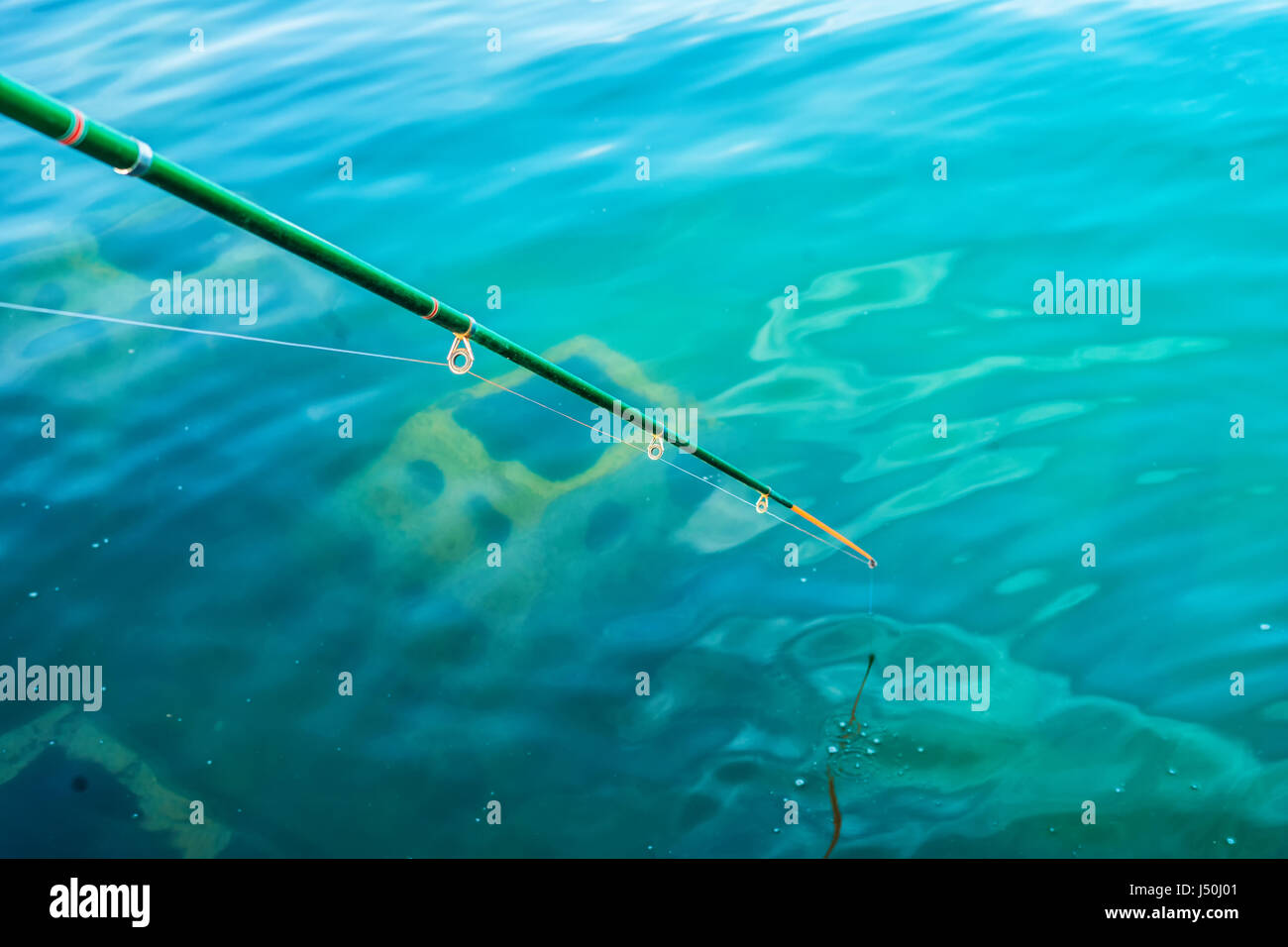 Deep sea angler fish hi-res stock photography and images - Alamy