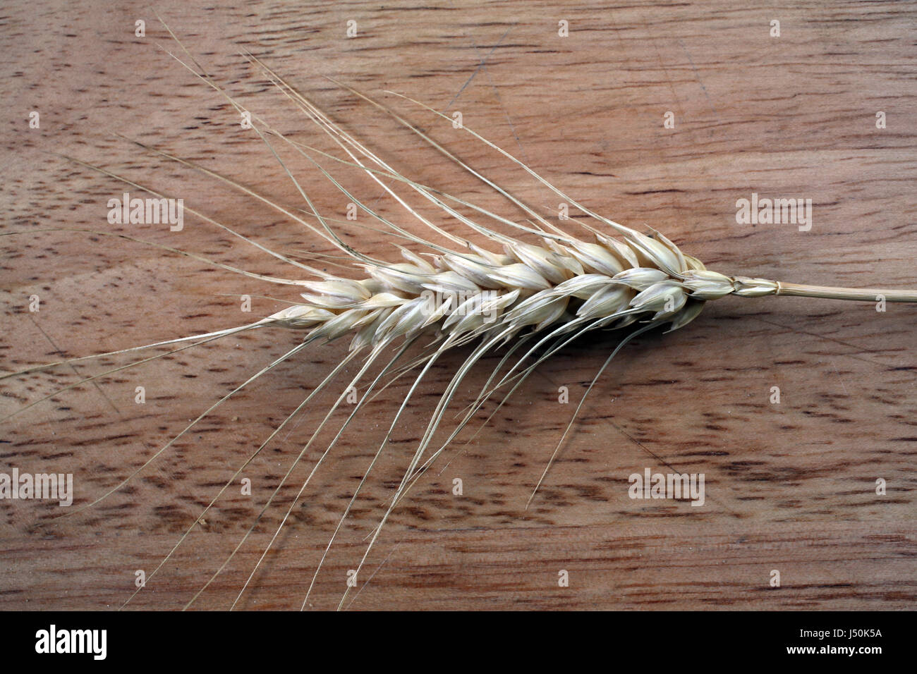 Ears of wheat Stock Photo - Alamy