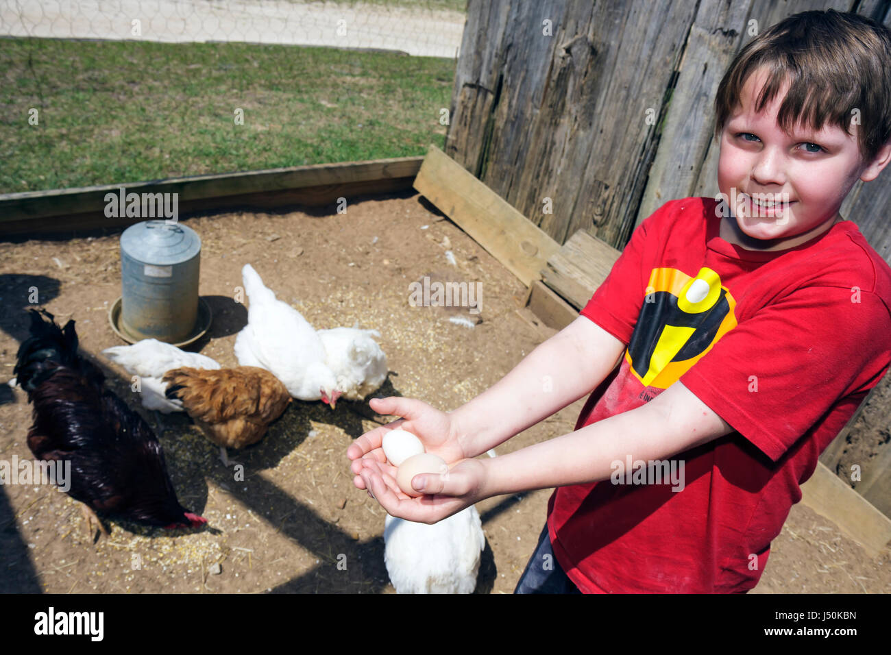 Alabama,Pike County,Troy,Pioneer Museum of Alabama,history,regional ...