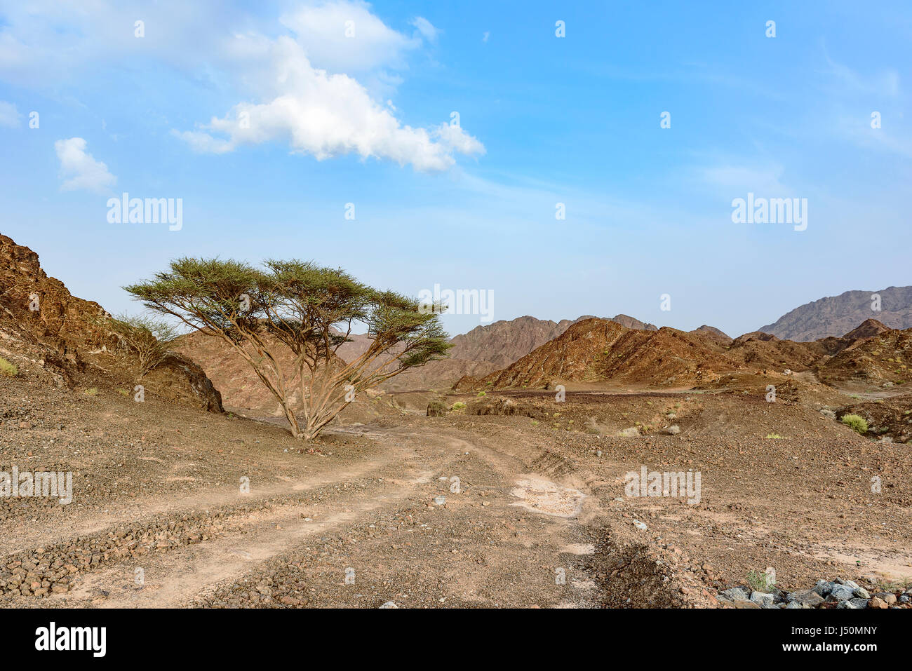 Beautiful View of Lakes and Desert in United Arab Emirates Stock Photo ...