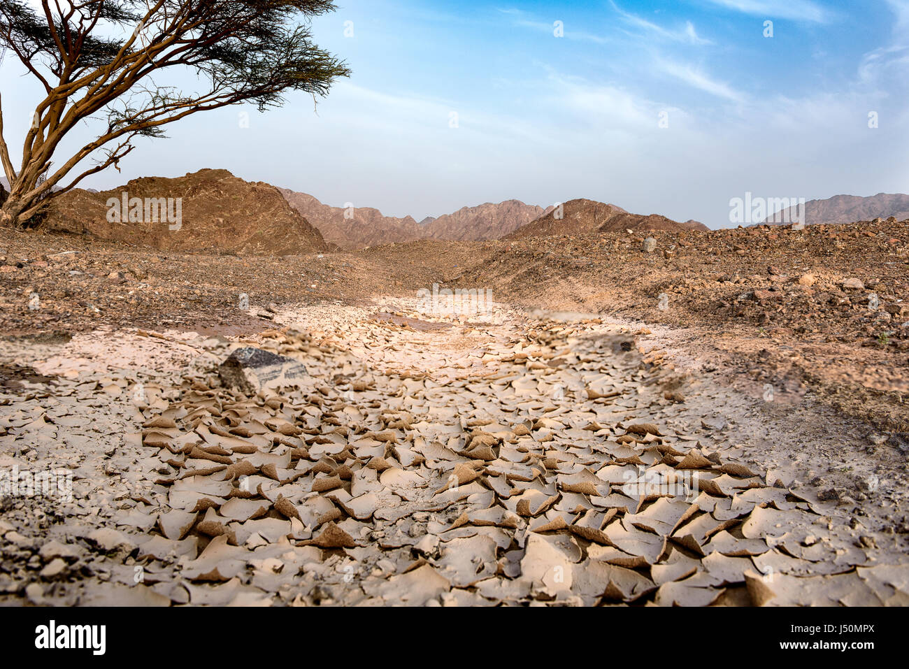 Beautiful View of Lakes and Desert in United Arab Emirates Stock Photo ...