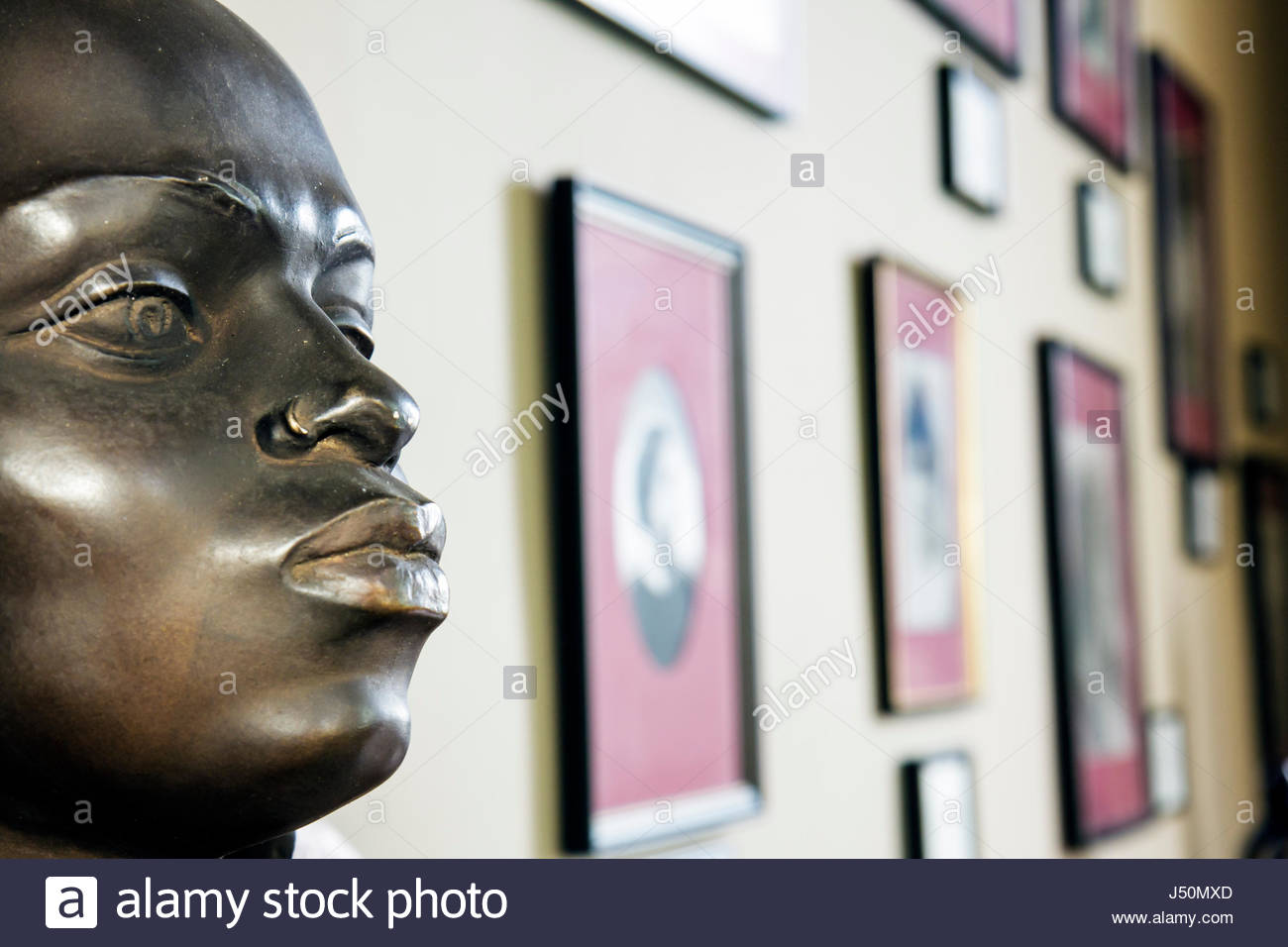 African American Civil Rights Movement High Resolution Stock ...
