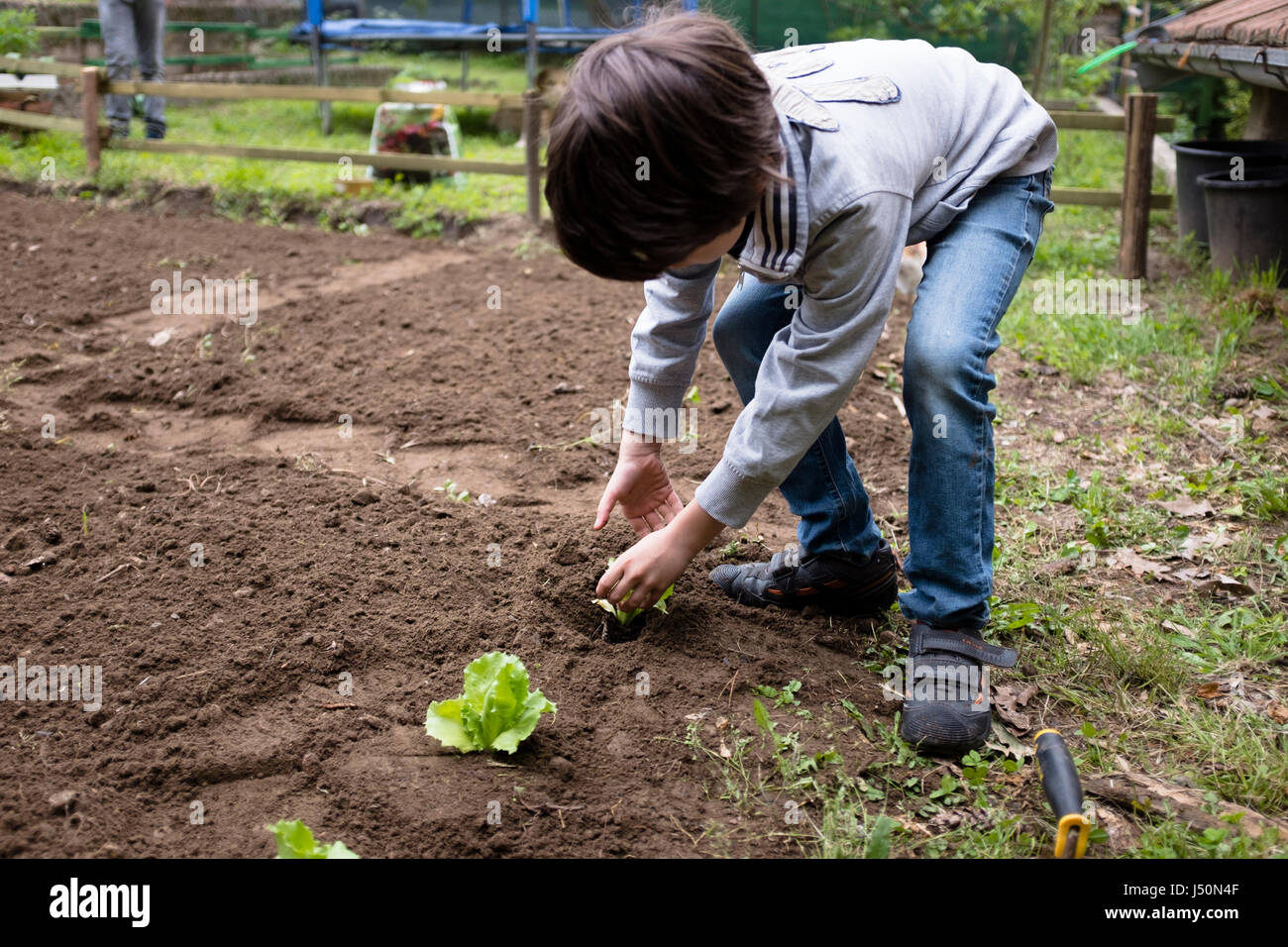child preparing vegetable garden Stock Photo - Alamy