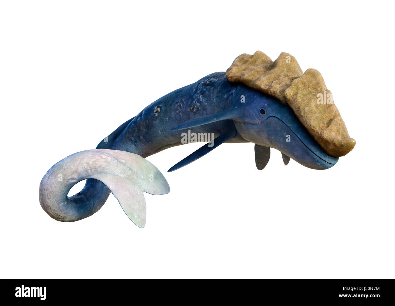 3D rendering of a Leviathan isolated on white background Stock Photo ...