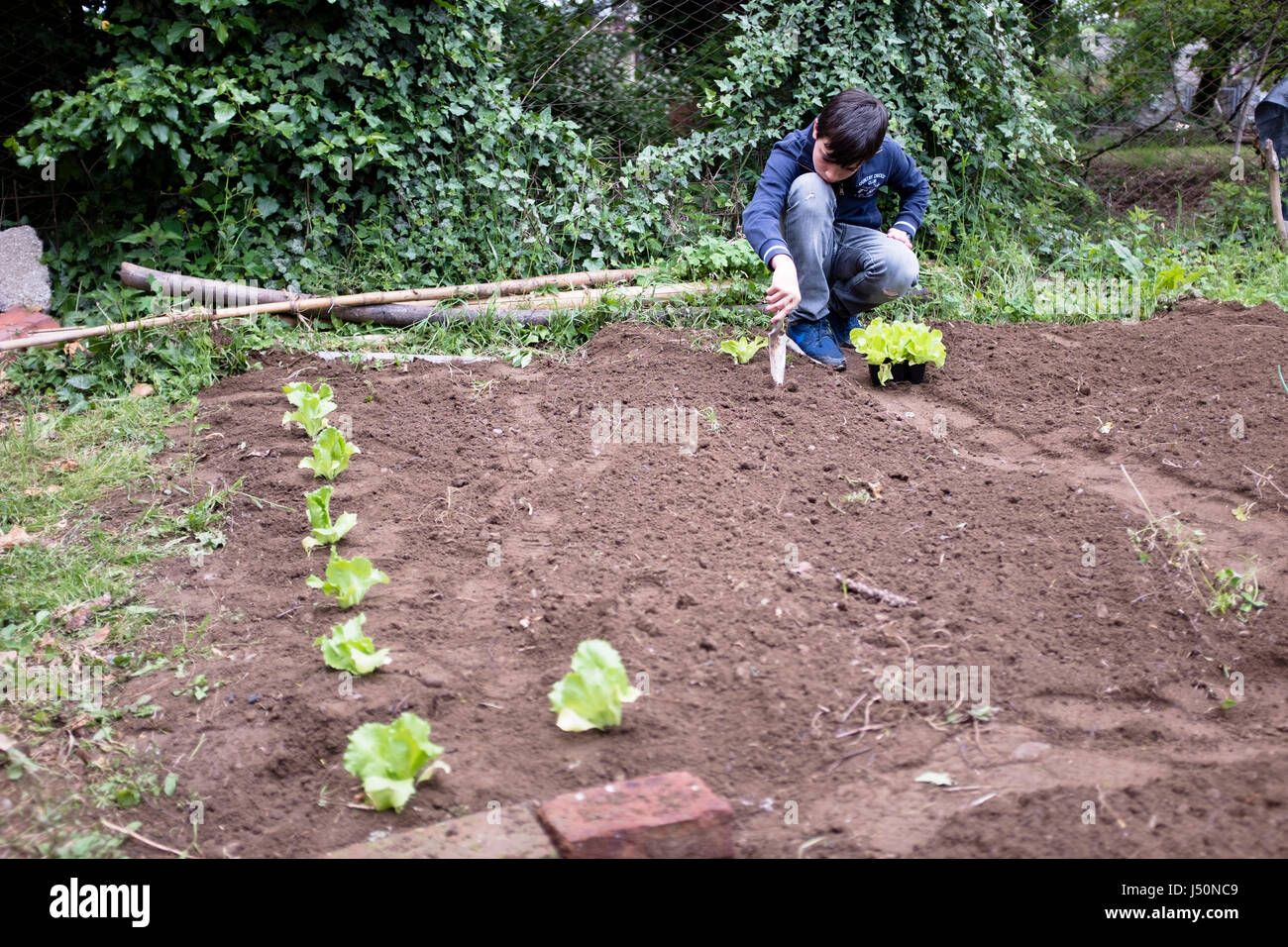 child preparing vegetable garden Stock Photo - Alamy