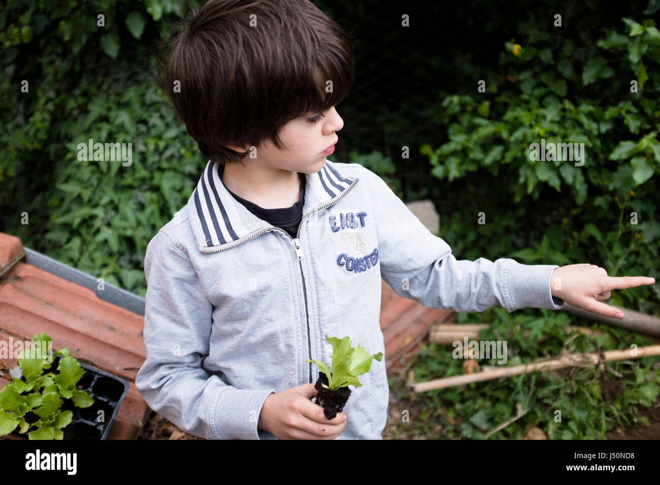 child preparing vegetable garden Stock Photo - Alamy