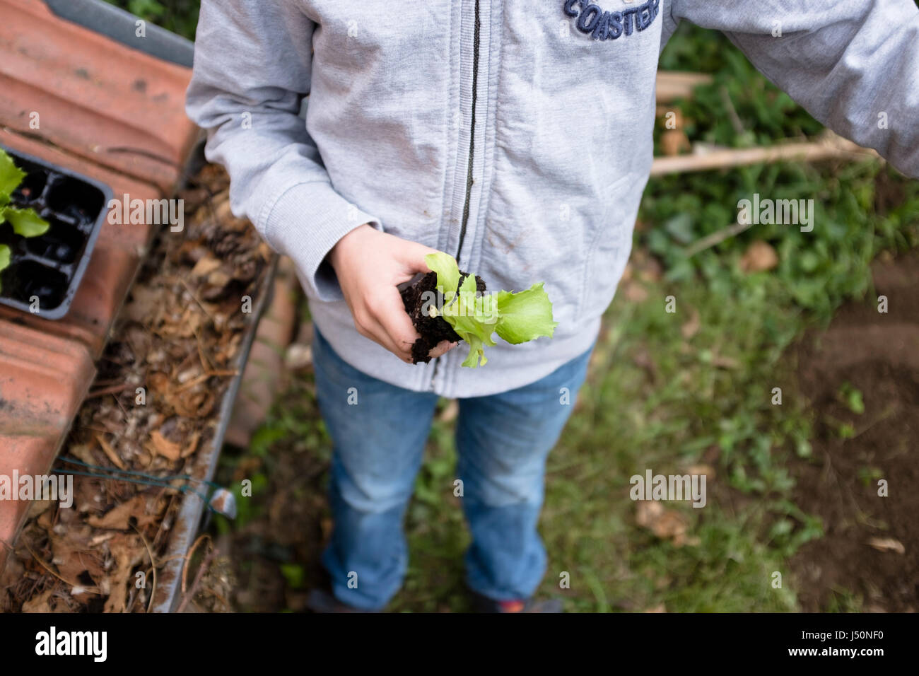 child preparing vegetable garden Stock Photo - Alamy