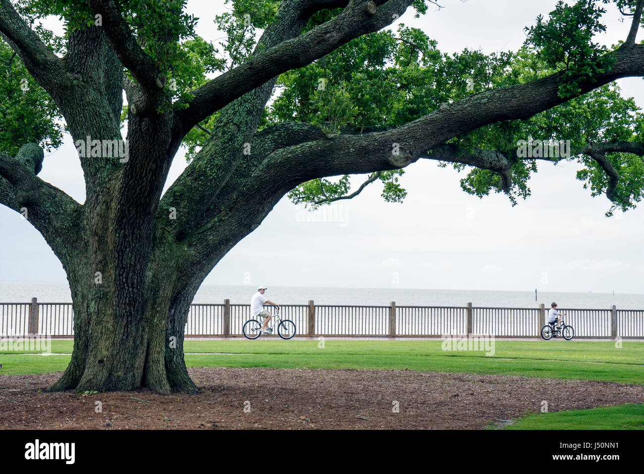 Alabama Baldwin County,Point Clear,Grand Hotel Marriott Resort,hotel ...