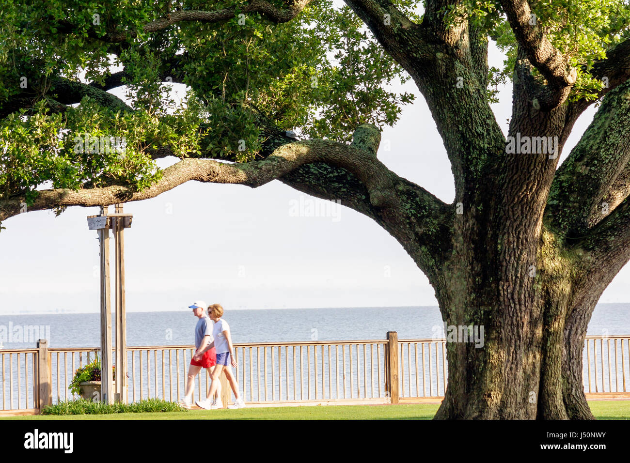 Oak tree inn hi-res stock photography and images - Alamy