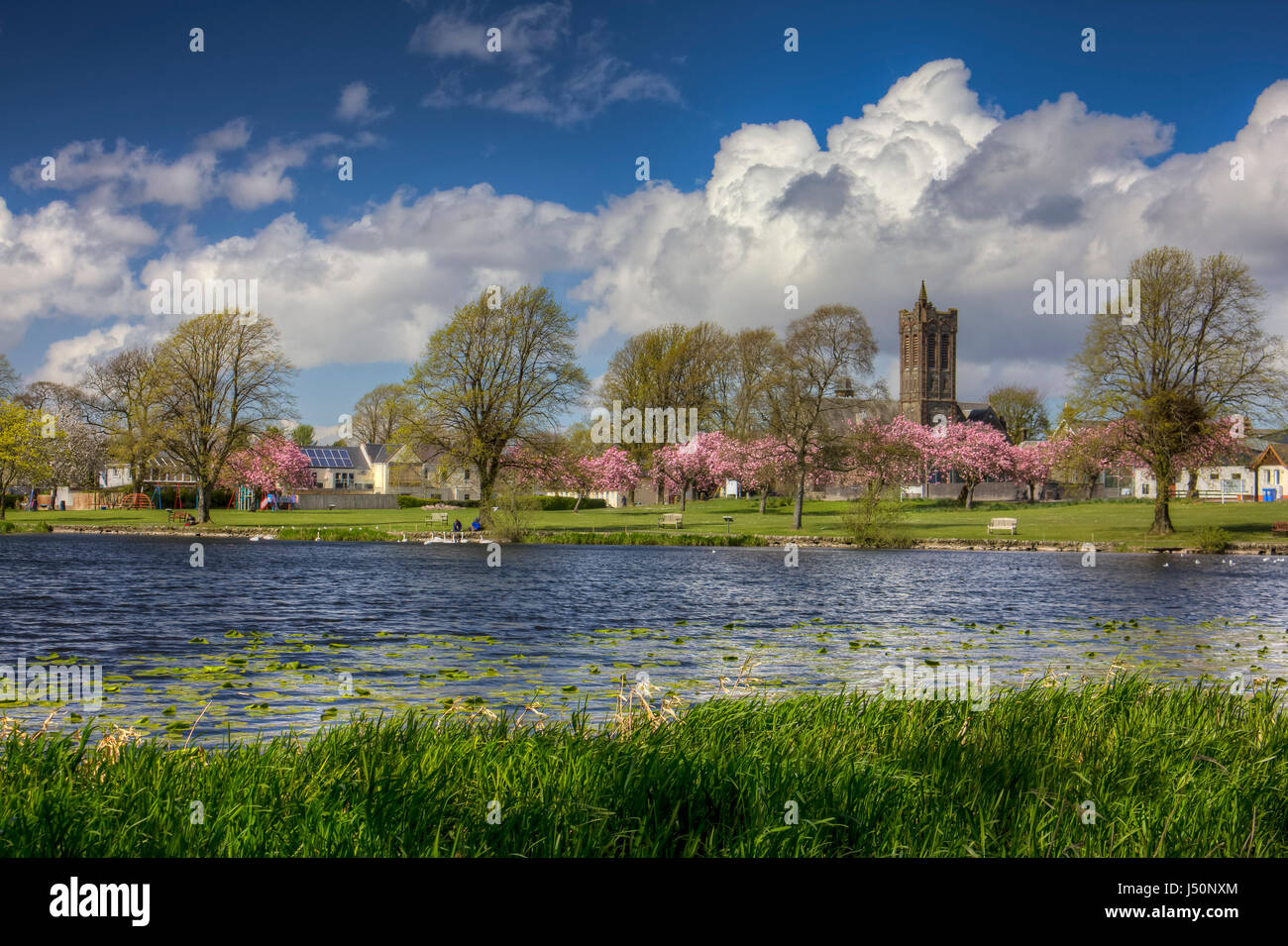 Fullarton hi-res stock photography and images - Alamy