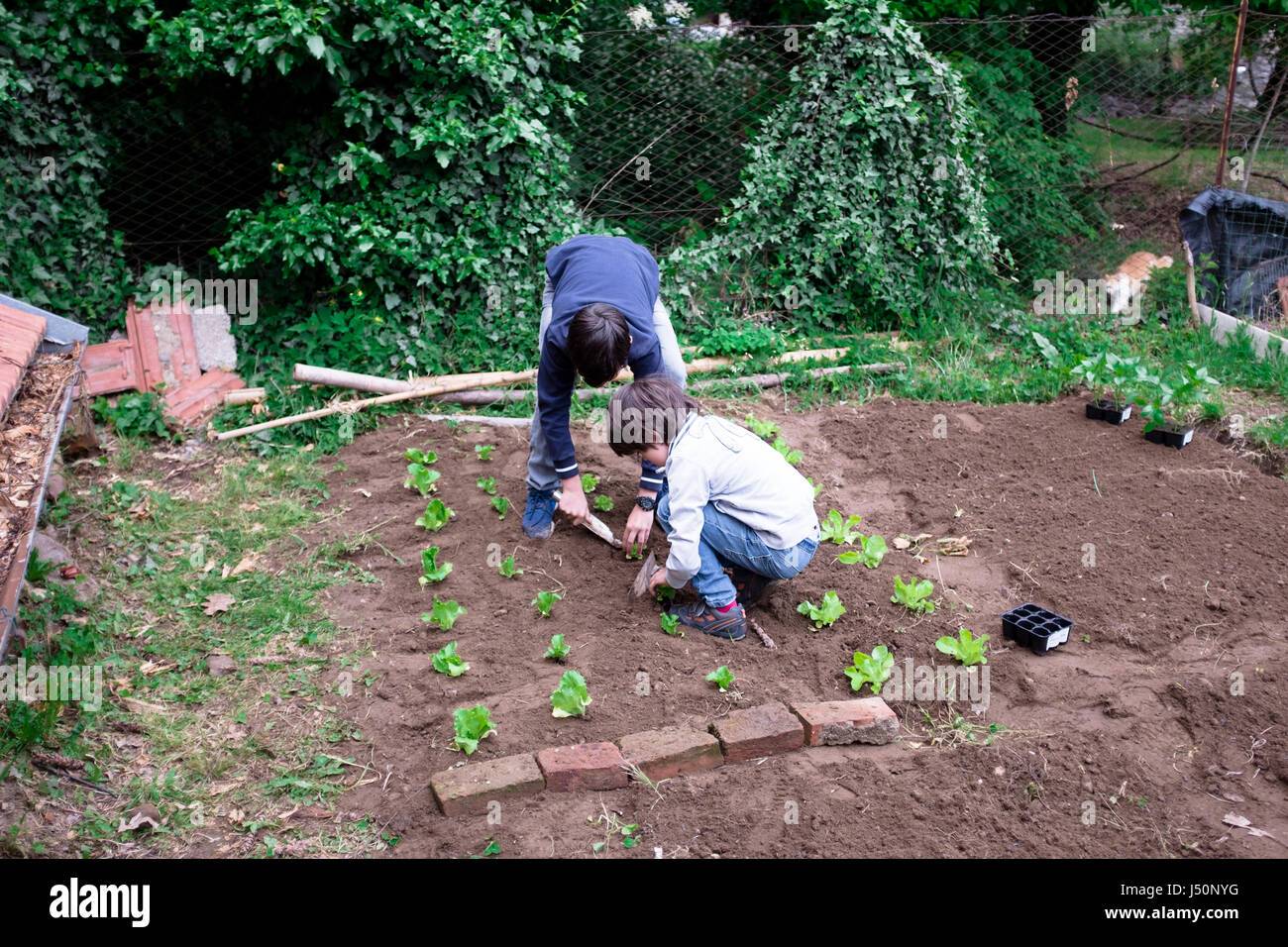 child preparing vegetable garden Stock Photo - Alamy