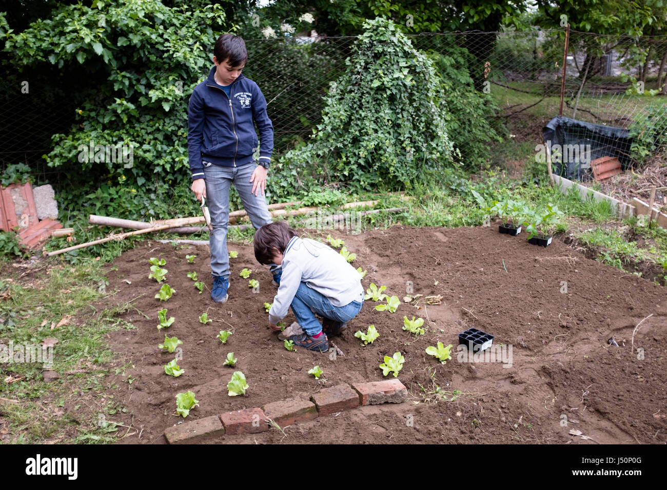 child preparing vegetable garden Stock Photo - Alamy