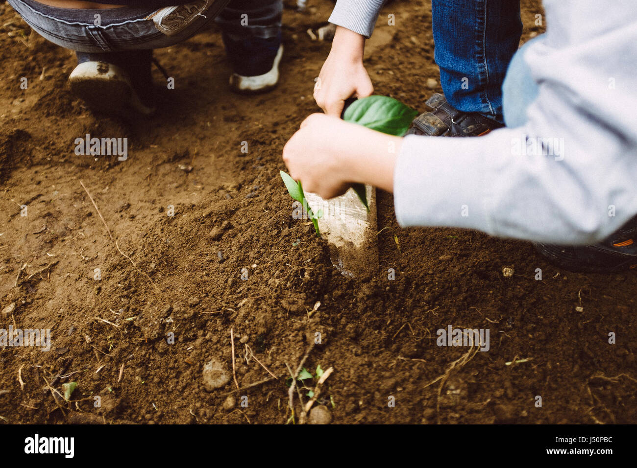 child preparing vegetable garden Stock Photo - Alamy