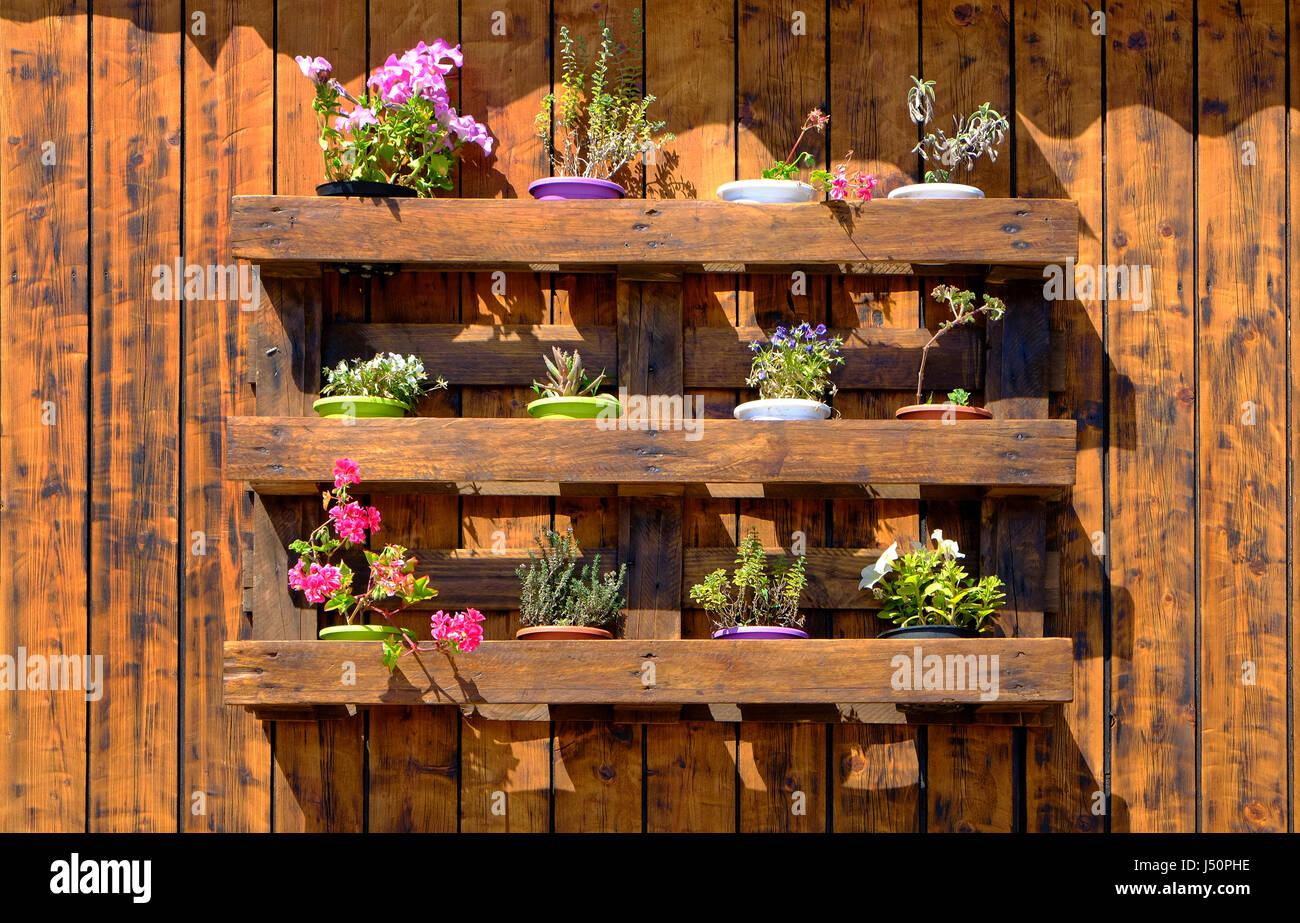 Pallet garden hi-res stock photography and images - Alamy