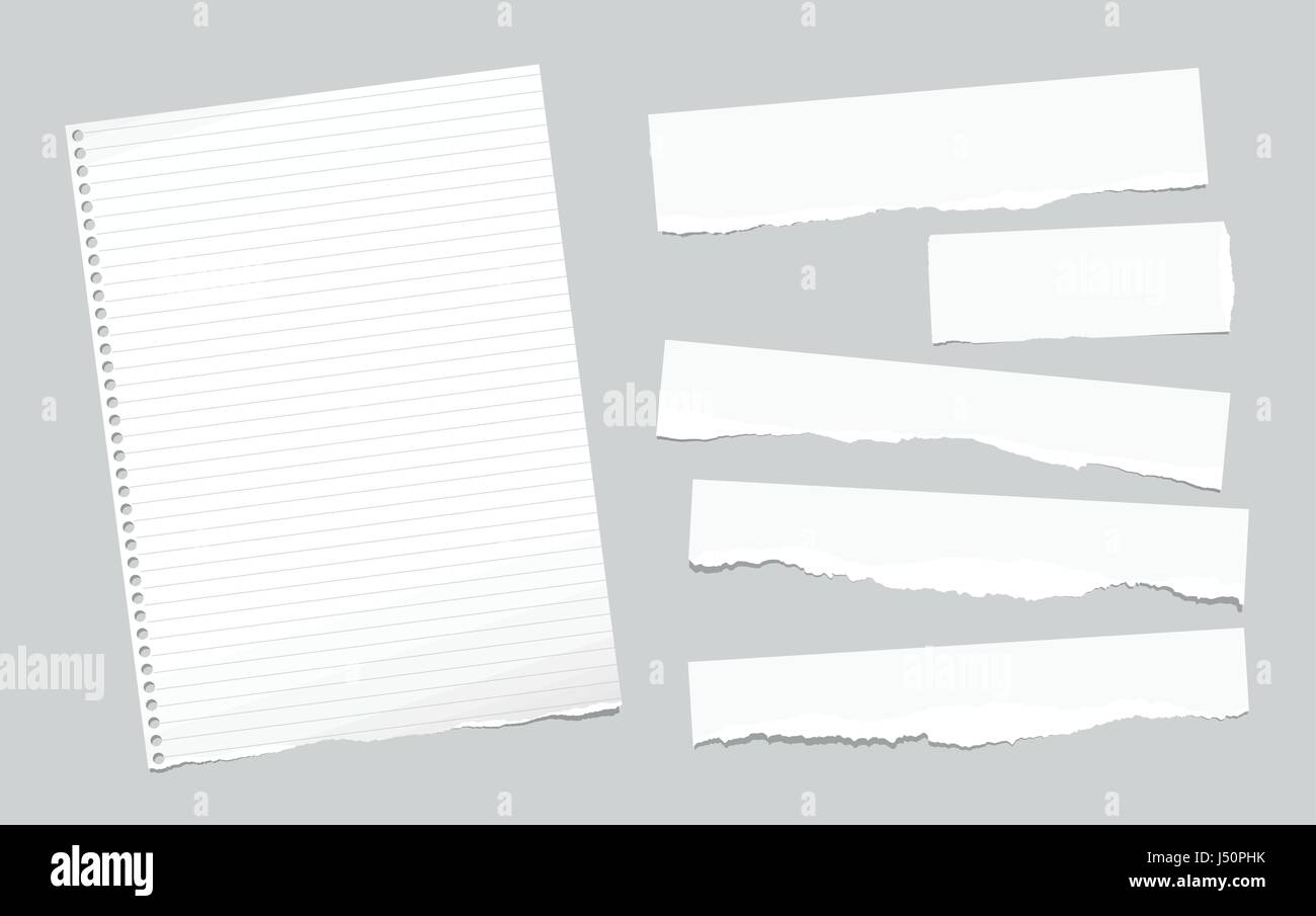 Ripped note, notebook, copybook paper sheets, strips, stuck on gray ...