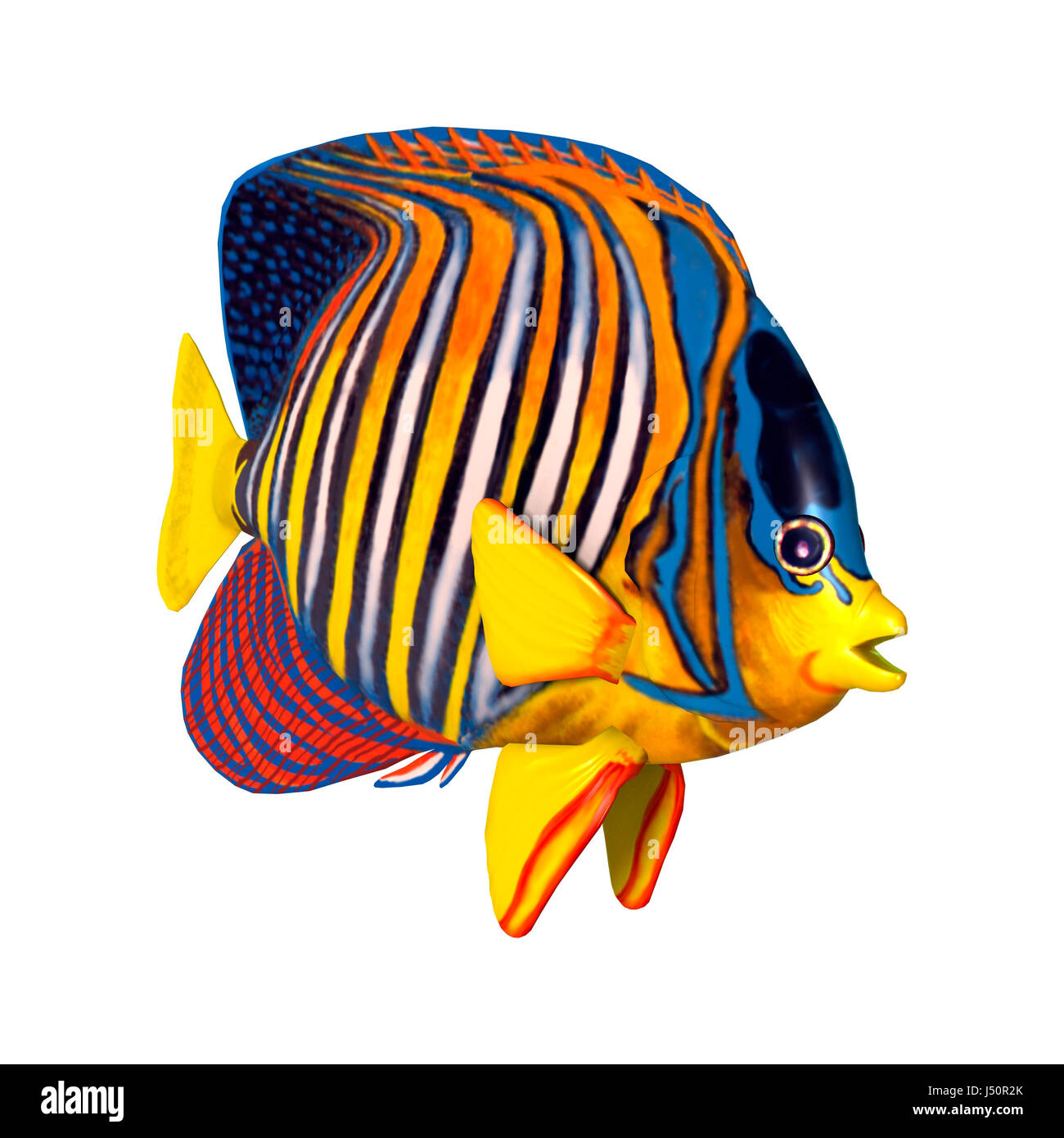3D rendering of a royal angelfish isolated on white background Stock ...