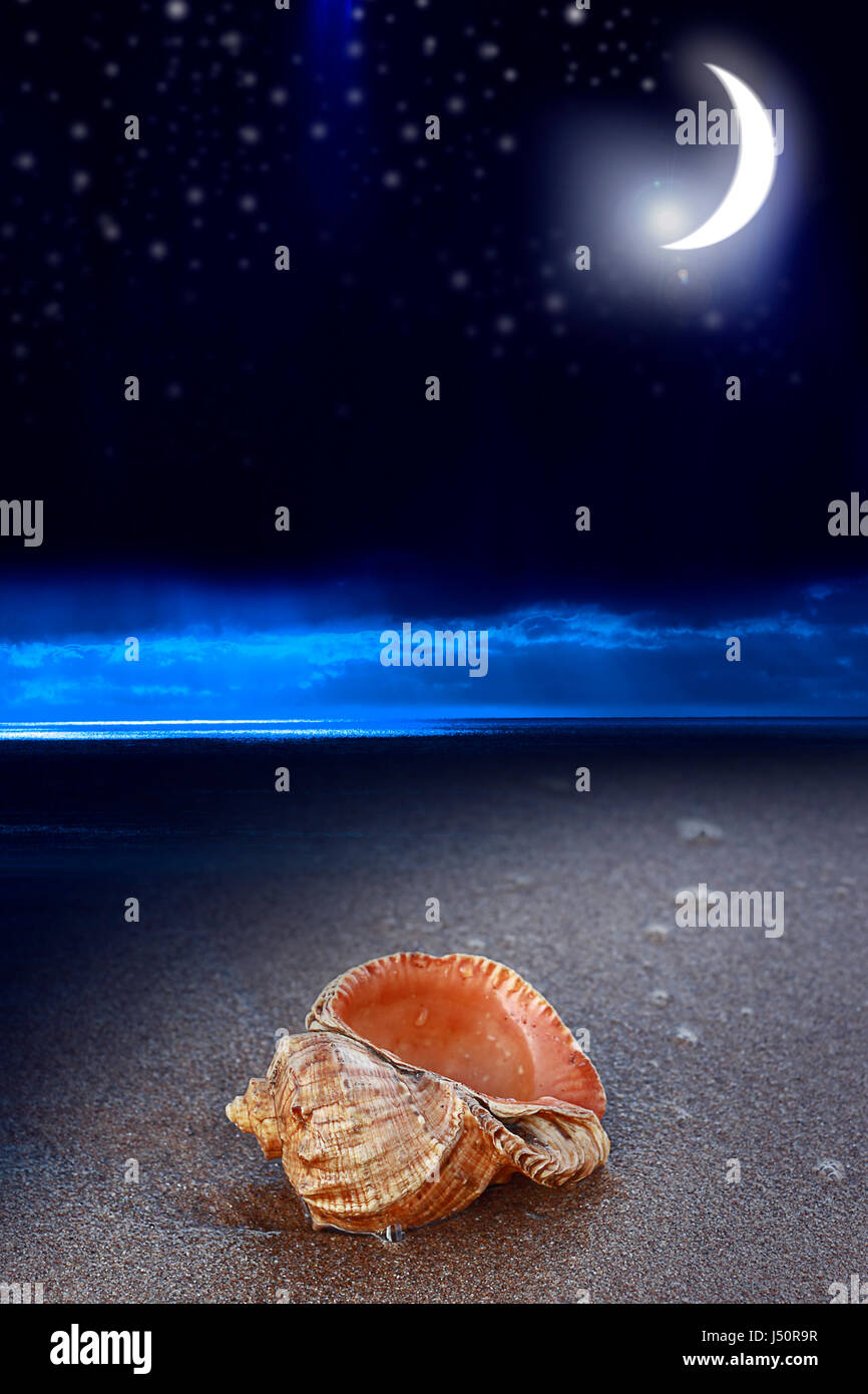 Shell galaxy hi-res stock photography and images - Alamy