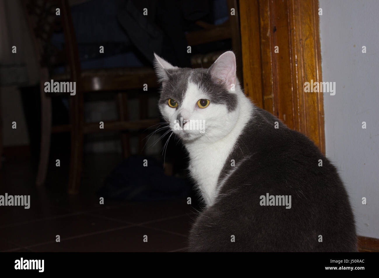 Inside indoors looking in hi-res stock photography and images - Alamy