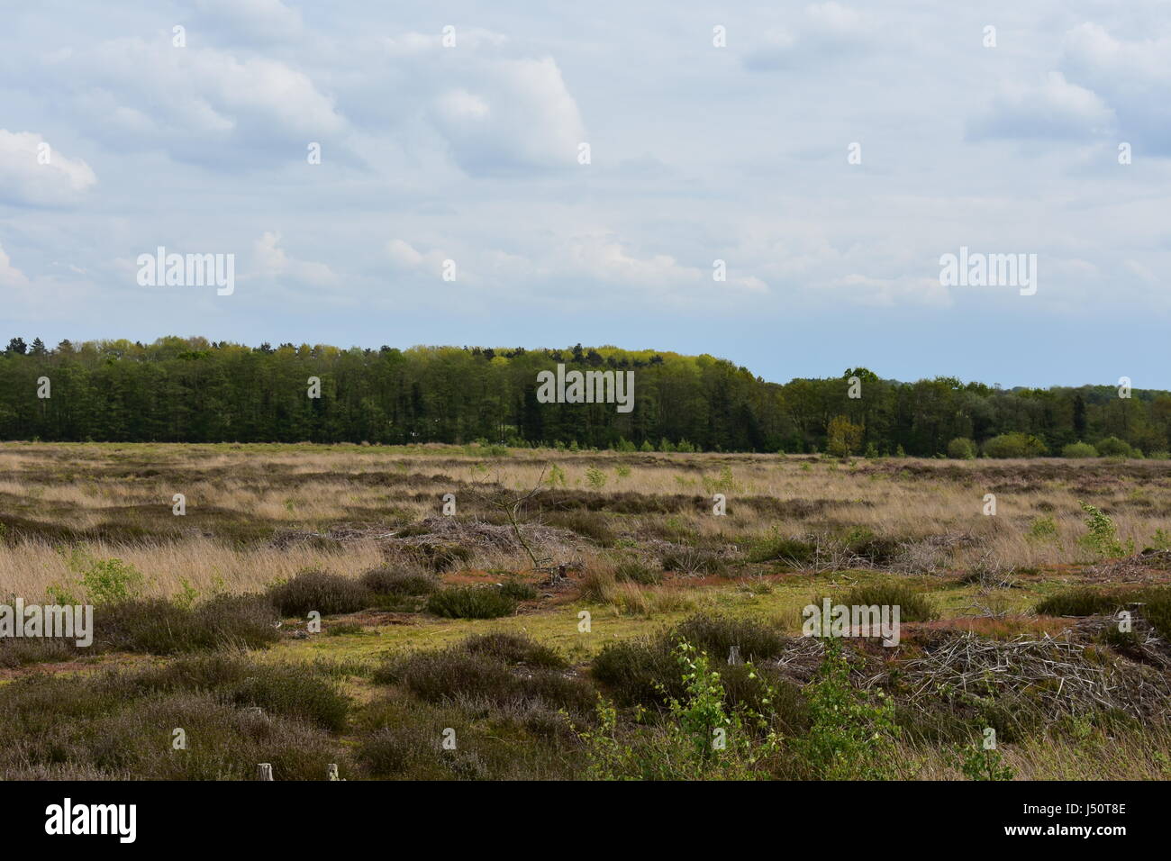 Tourism in nature hi-res stock photography and images - Alamy