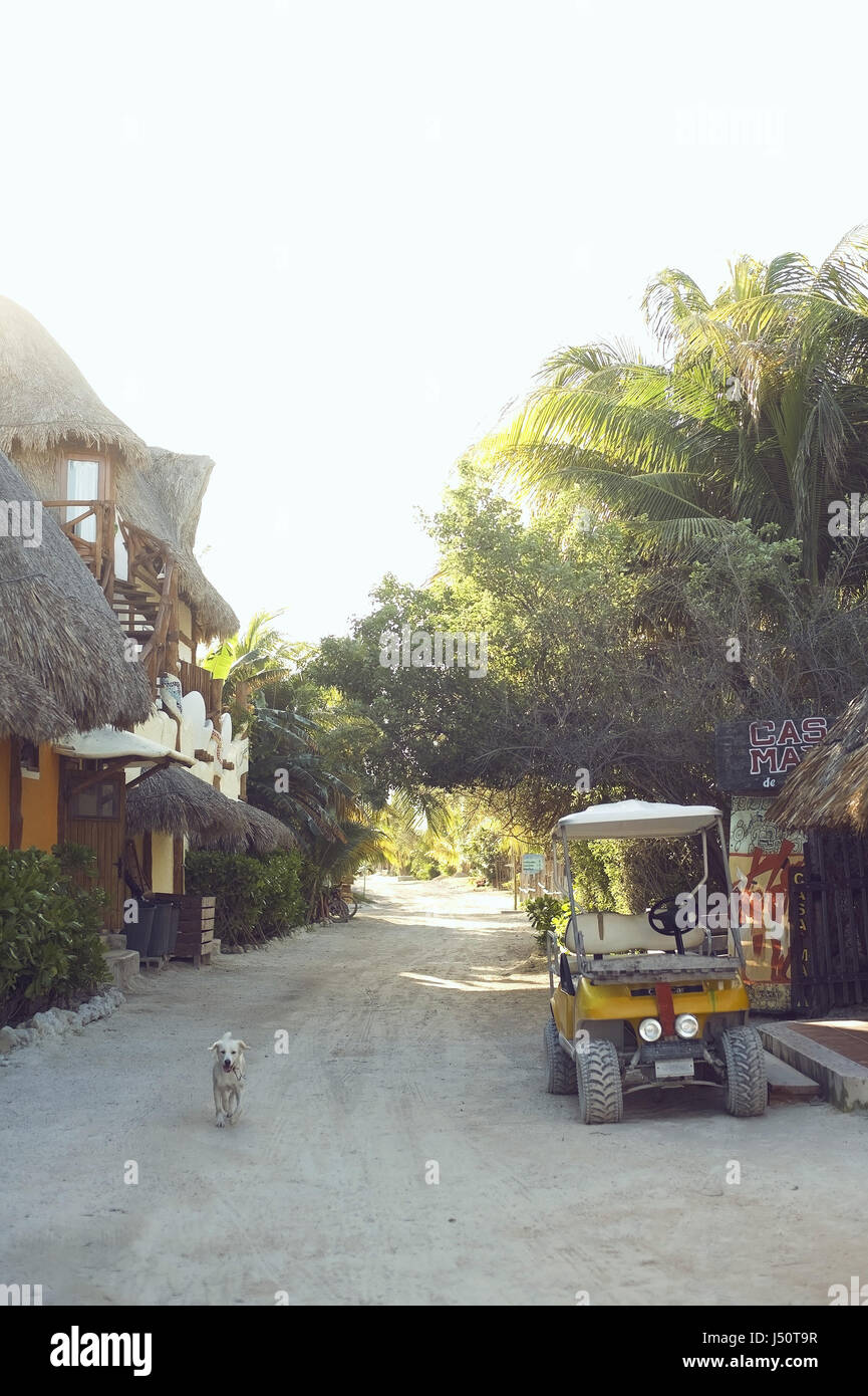 Caribbean island and street hi-res stock photography and images - Alamy