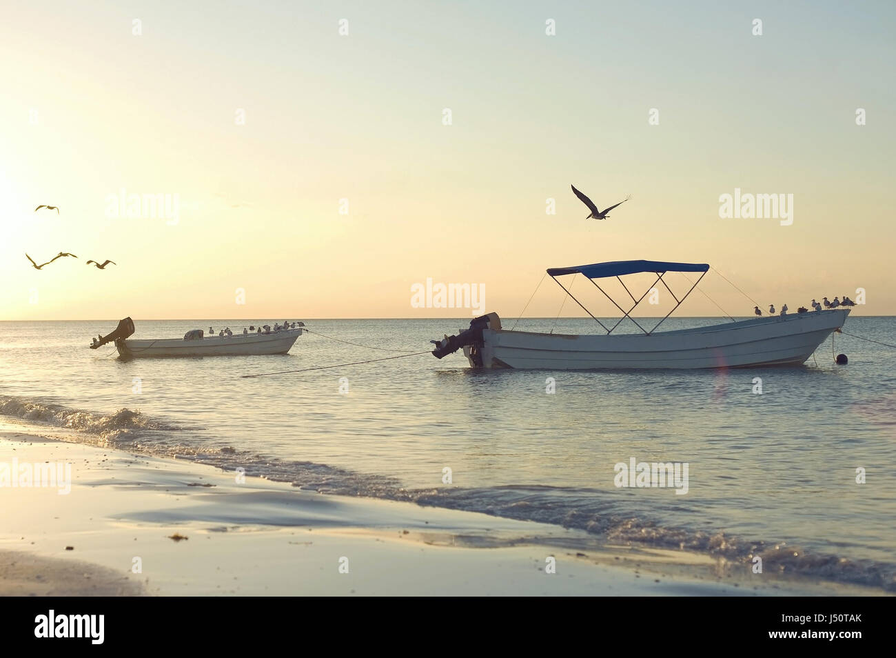 boats beach sunset Stock Photo - Alamy