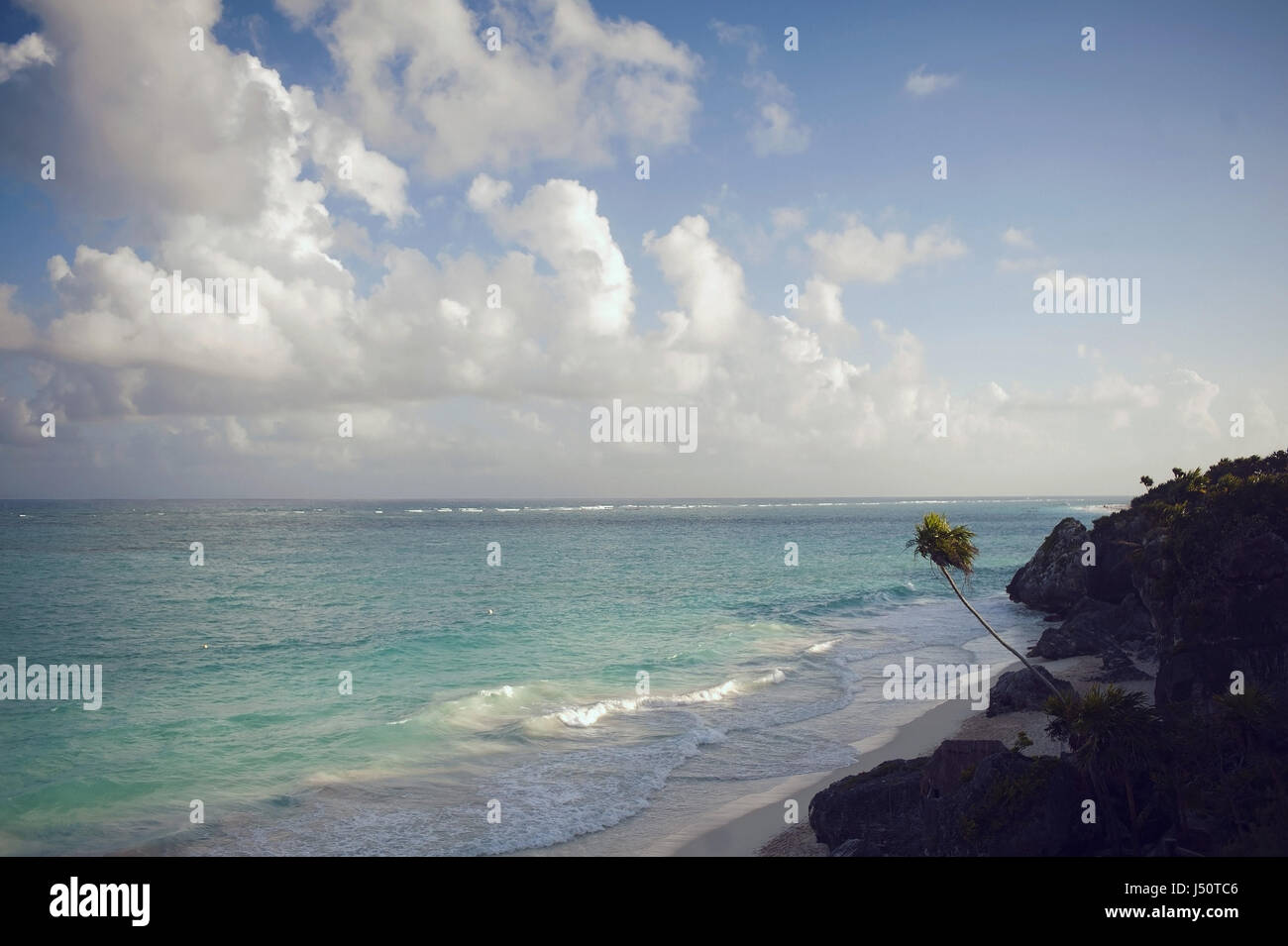 Mexican beach blue sea blue water clouds palm trees palms hi-res stock photography and images ...