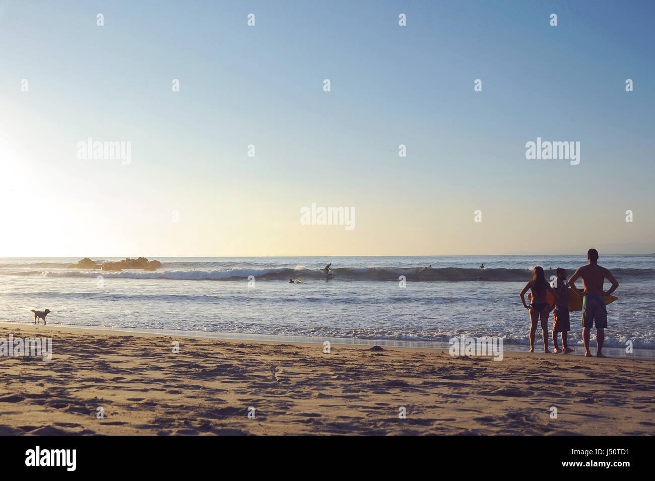 surfers and people on beach Stock Photo - Alamy