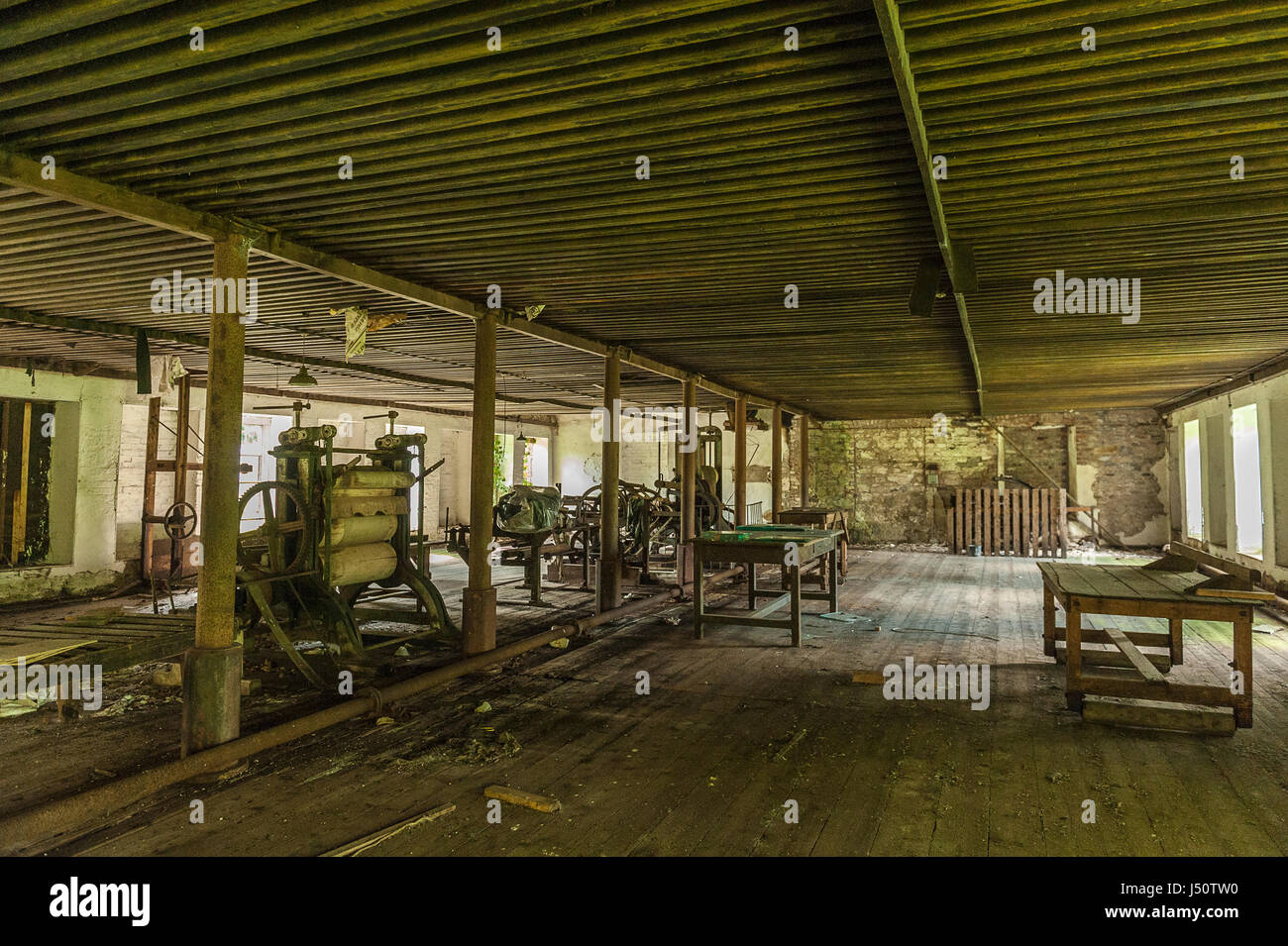 Beetling hi-res stock photography and images - Alamy