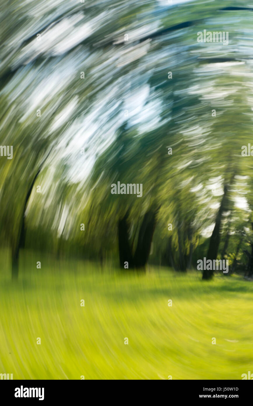 motion blurred spring landscape with trees Stock Photo - Alamy