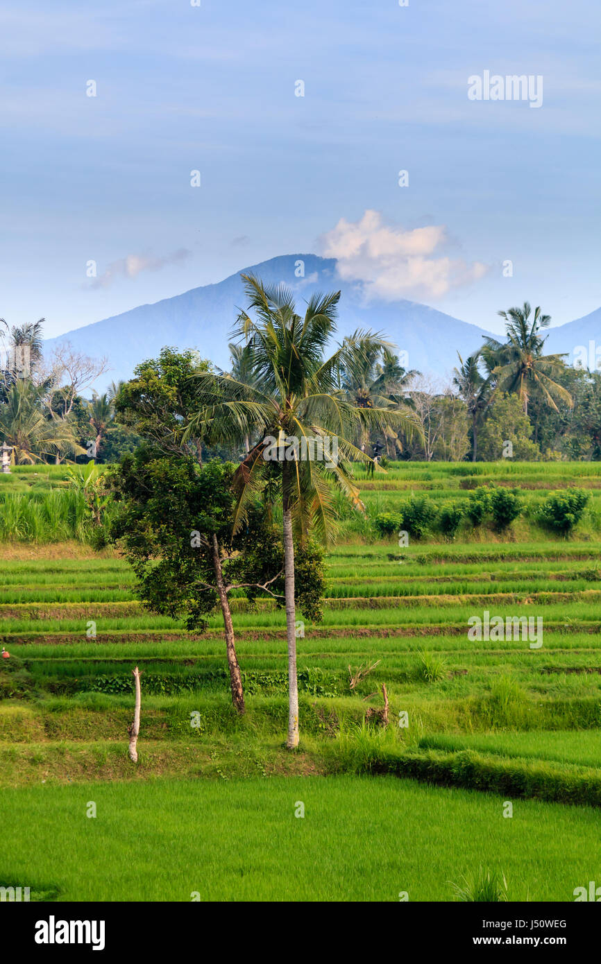 Volcanoes of bali hi-res stock photography and images - Alamy