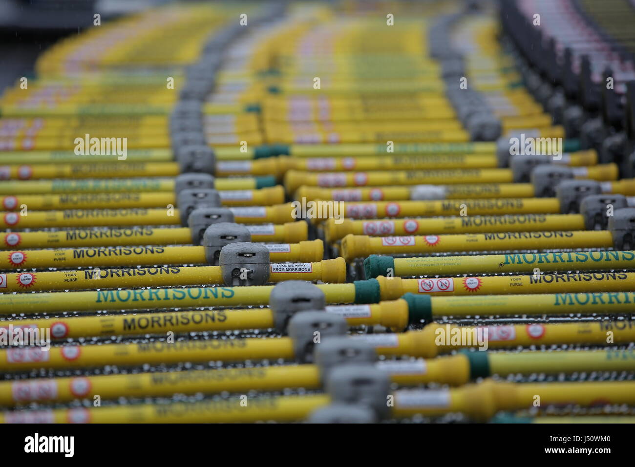 Shopping trolleys' handlebars and coin receivers at a Morrisons super ...