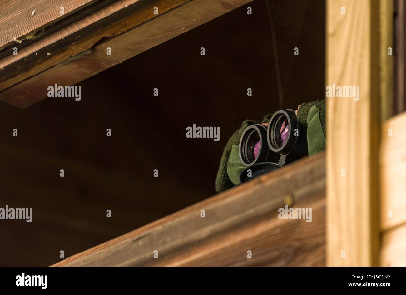 Twitching bird watching hi-res stock photography and images - Alamy