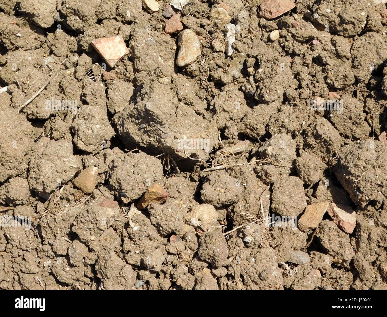 Texture of earth Stock Photo - Alamy