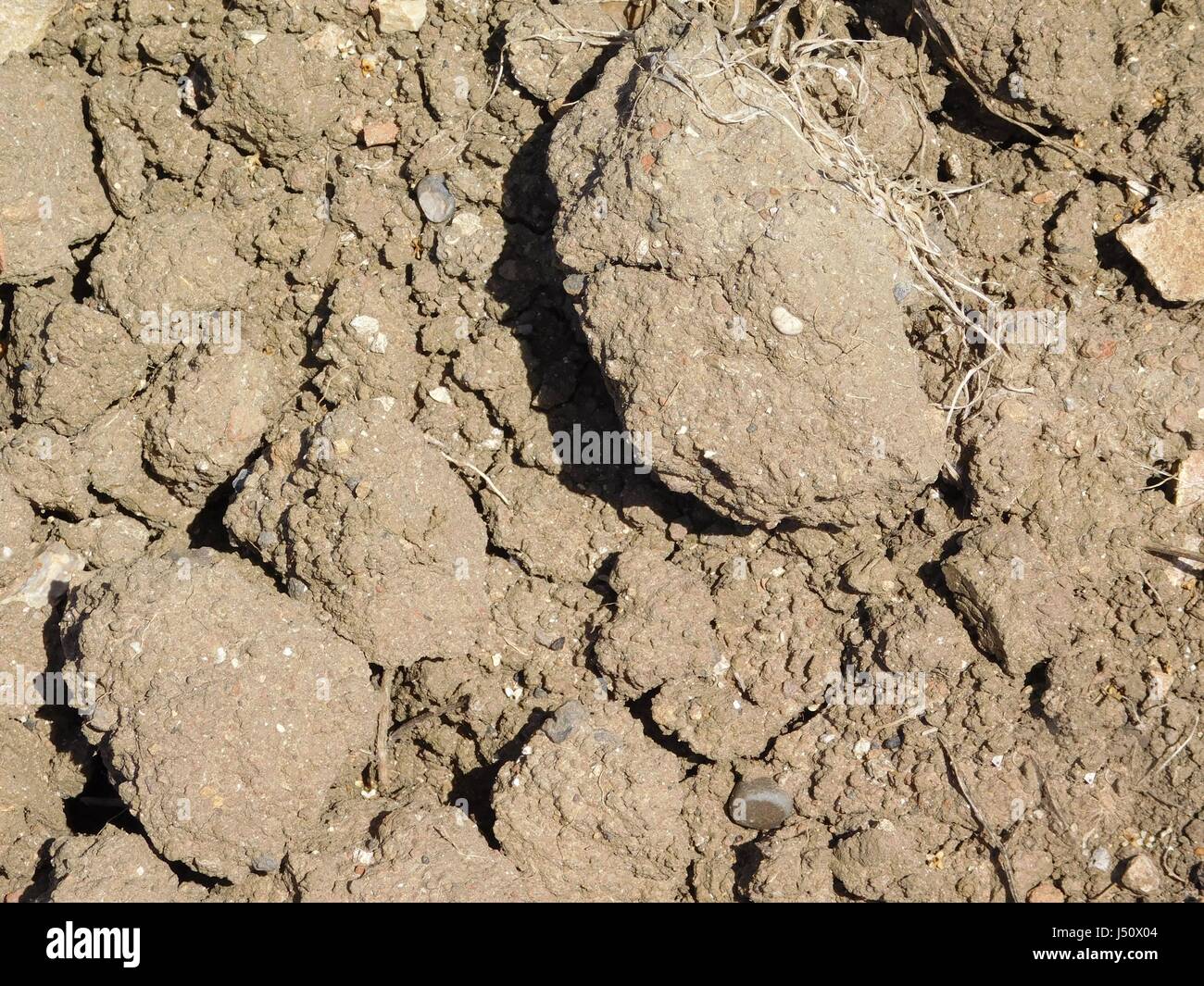 Texture of earth Stock Photo - Alamy
