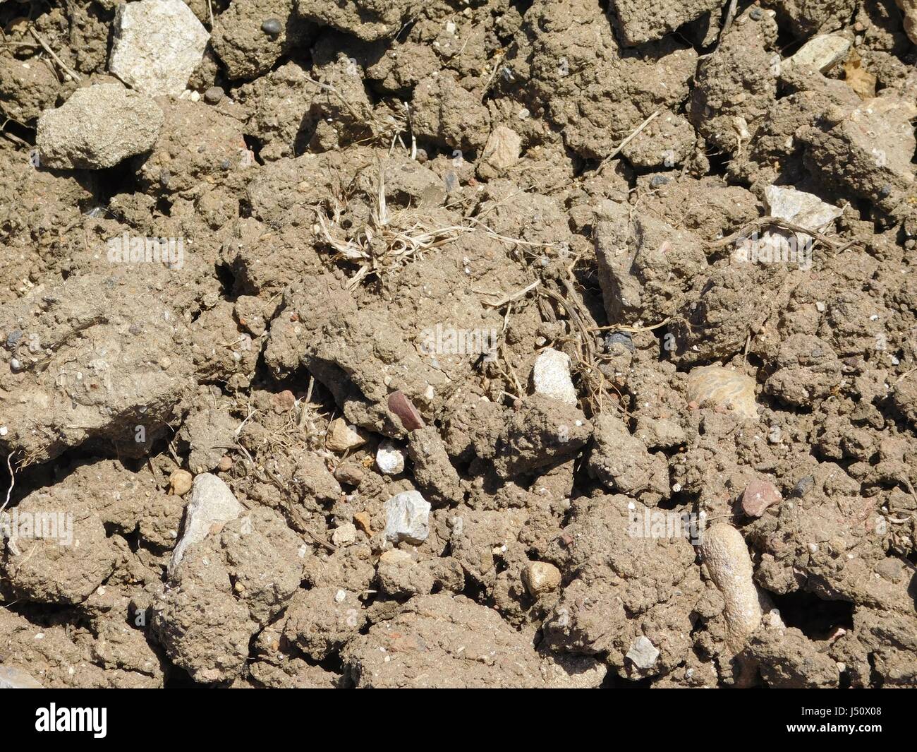 Texture of earth Stock Photo - Alamy