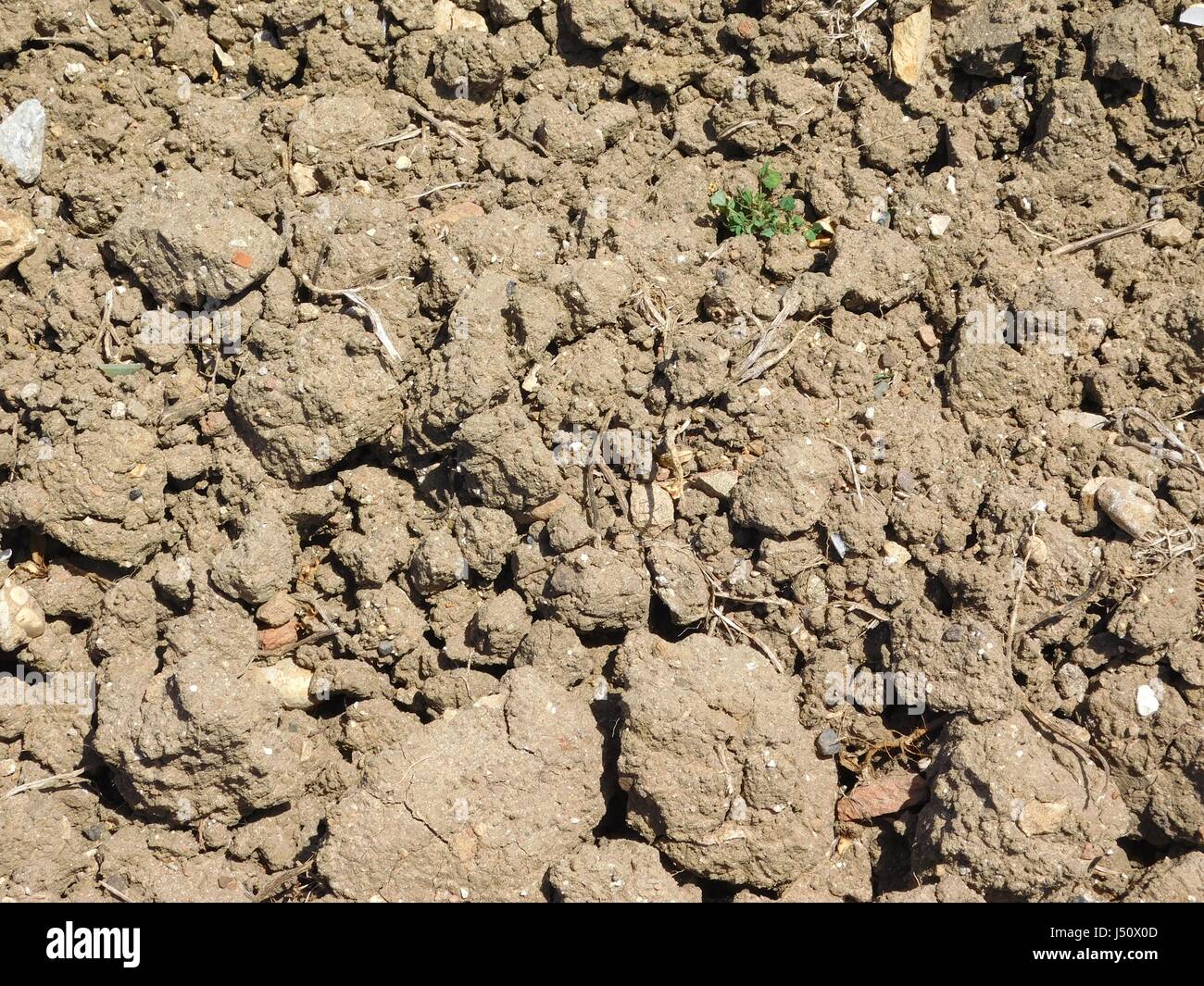 Texture of earth Stock Photo - Alamy