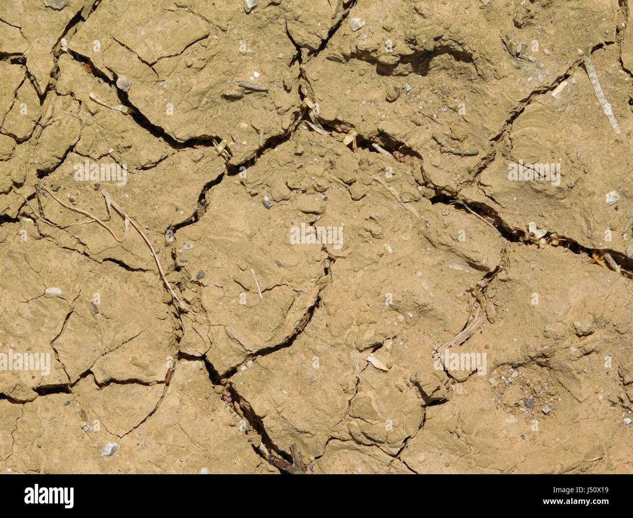 Texture of dry land Stock Photo - Alamy
