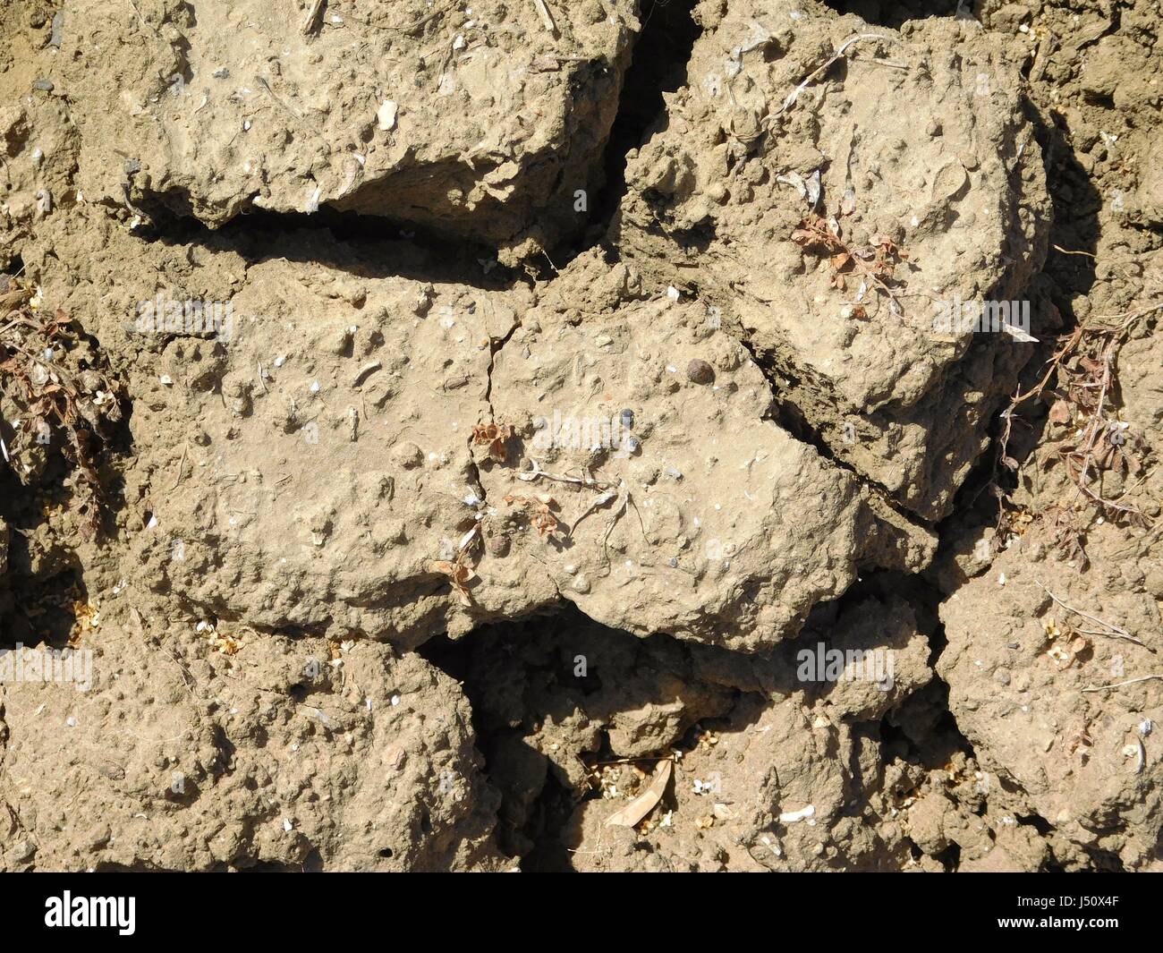 Texture of earth Stock Photo - Alamy