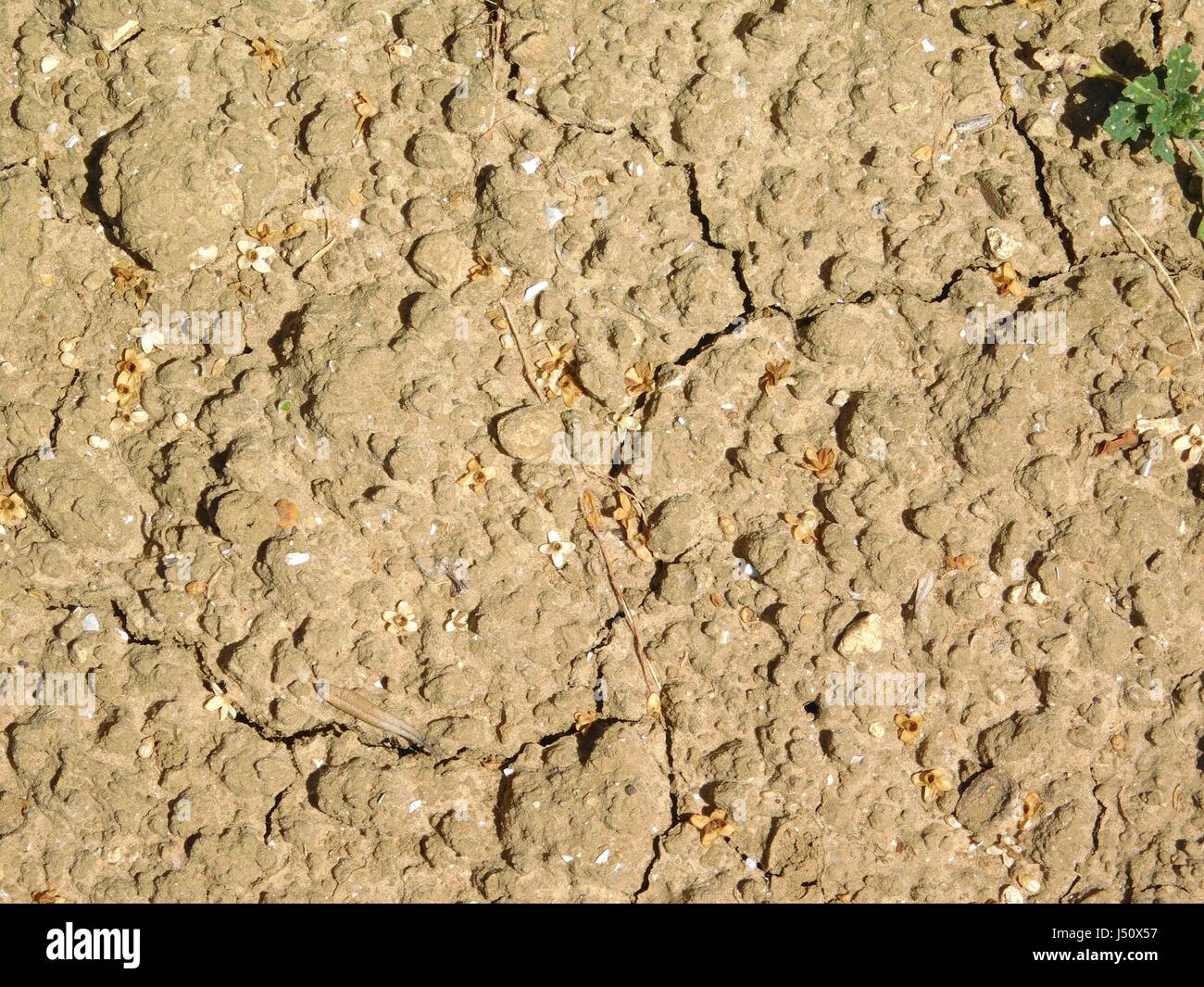 Texture of earth Stock Photo - Alamy
