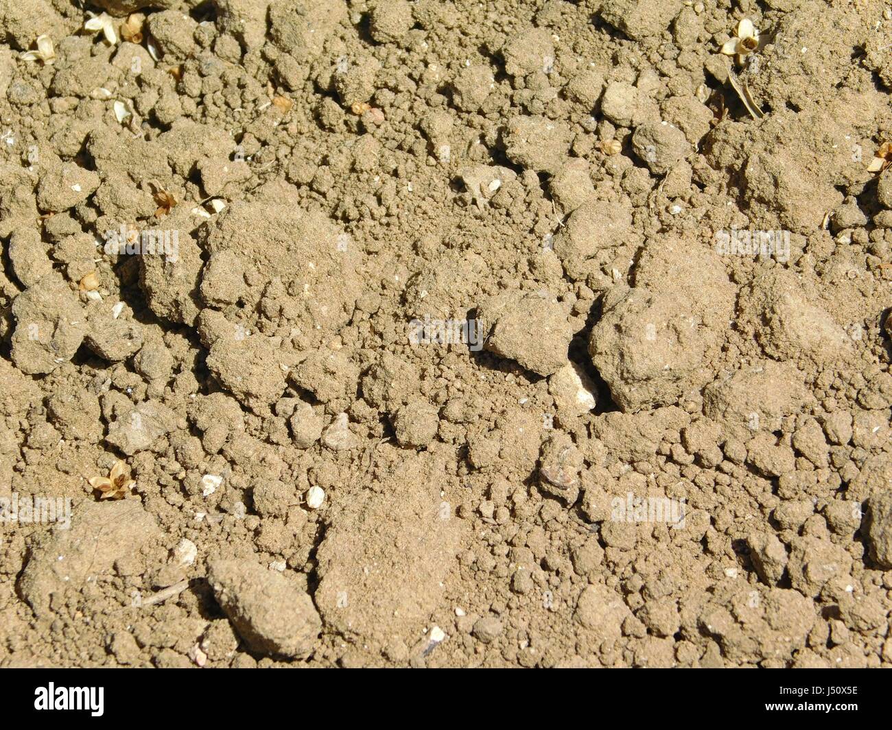 Texture of earth Stock Photo - Alamy