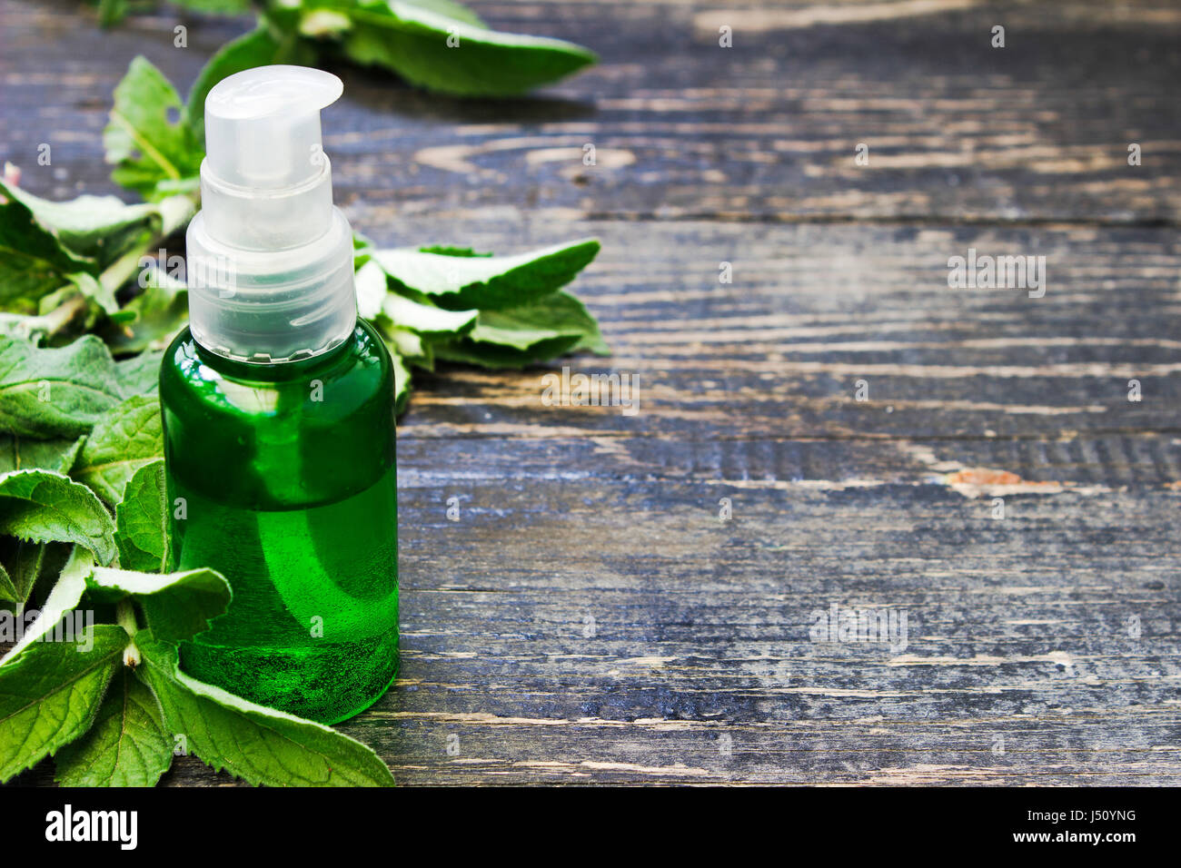 Peppermint oil hi-res stock photography and images - Alamy