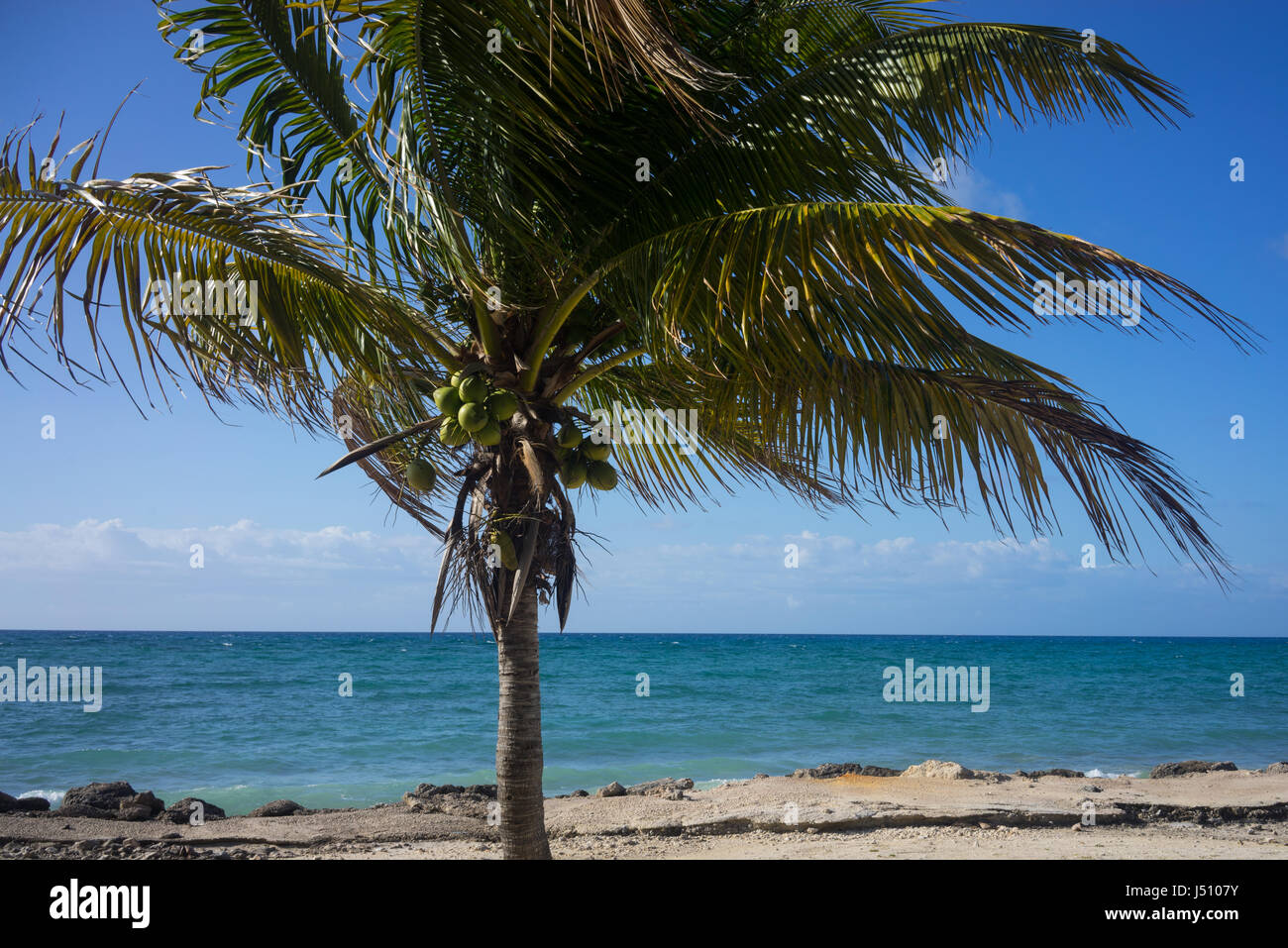 Grand bahamas island hi-res stock photography and images - Alamy
