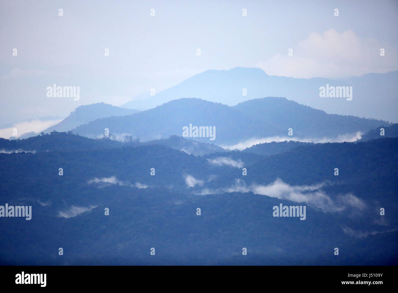 Gayo hi-res stock photography and images - Alamy