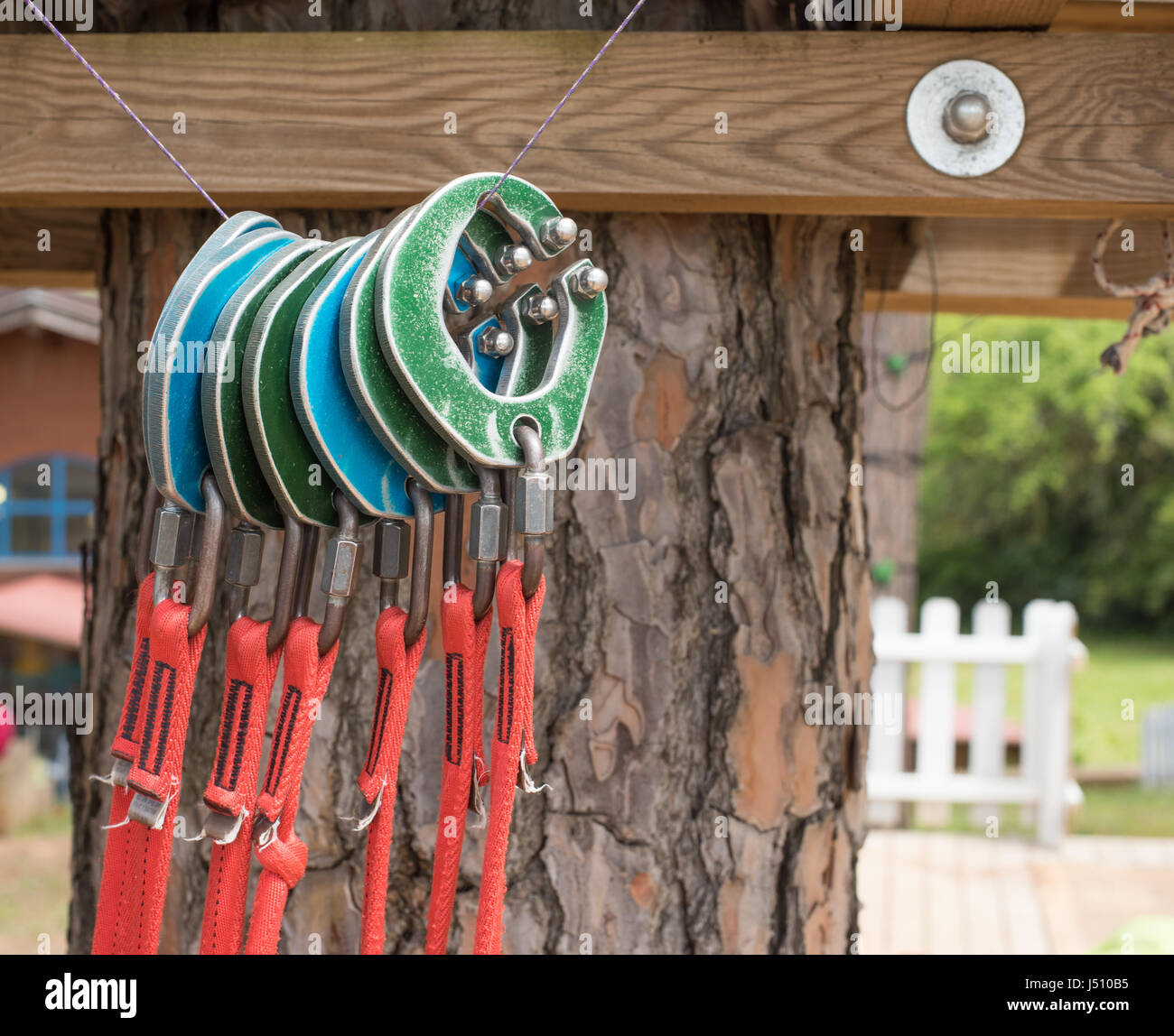 Many colorful carabiners safety guarantee, adventure playground tree ...