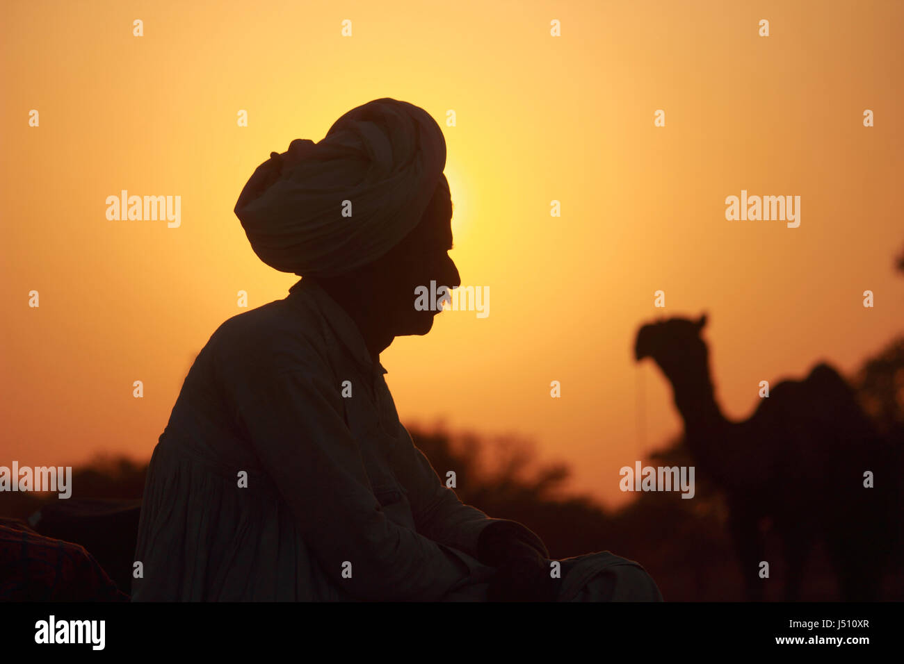 Silhouette of farmer and camel. Gujarat, India Stock Photo - Alamy