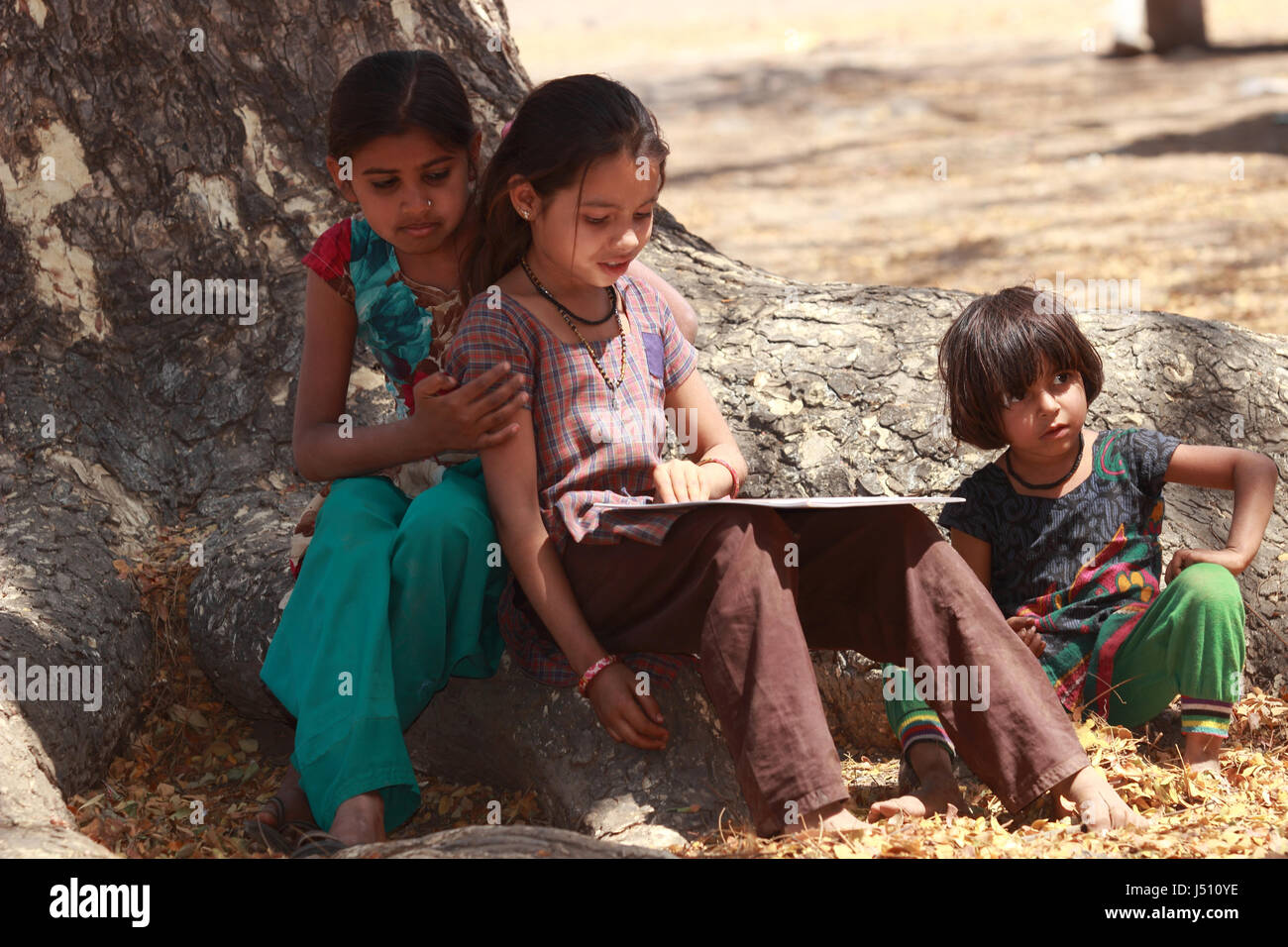 Rural tribal children reading book. Gujarat, India Stock Photo - Alamy