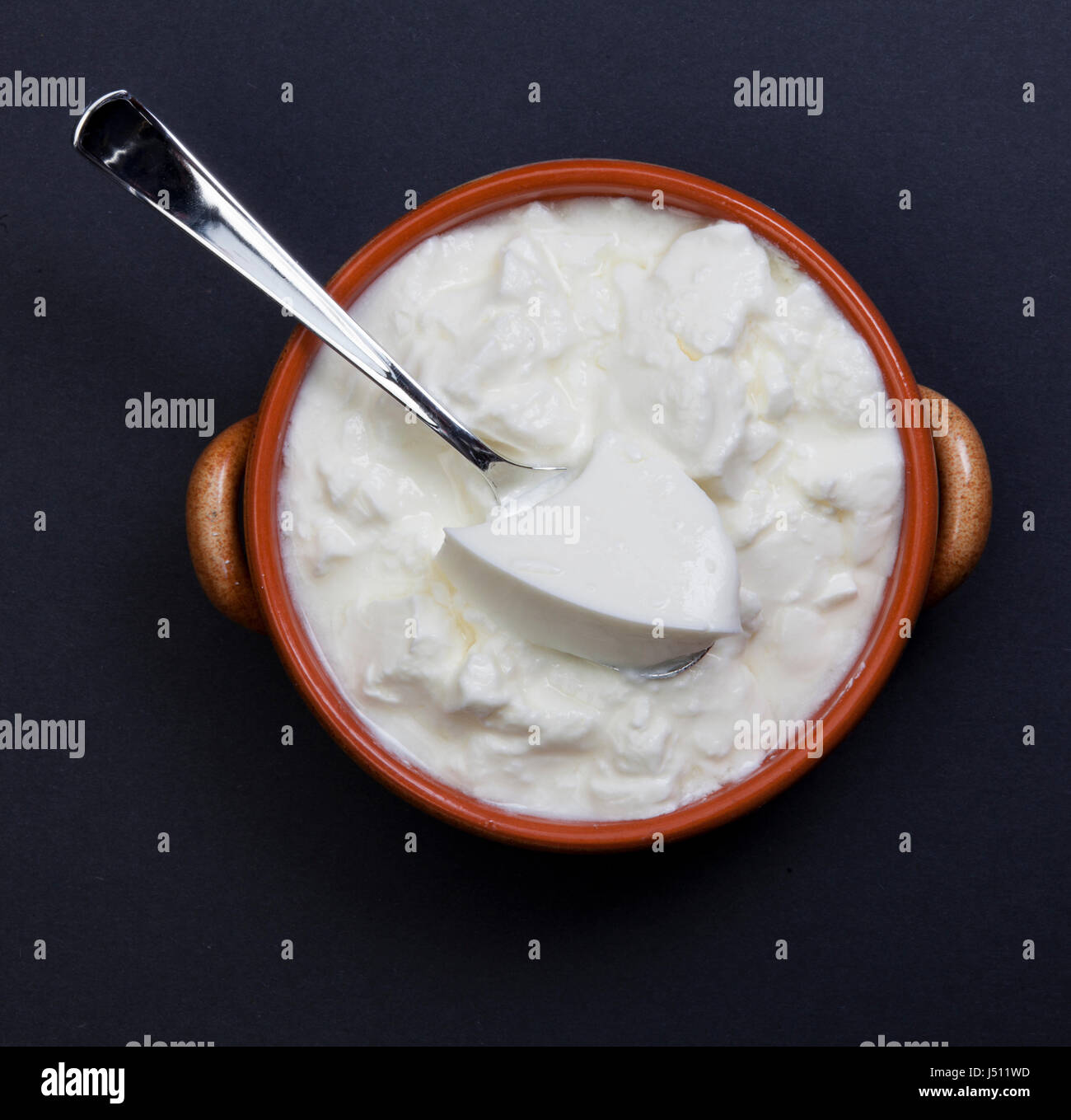 curd in a bowl with black and white background Stock Photo - Alamy