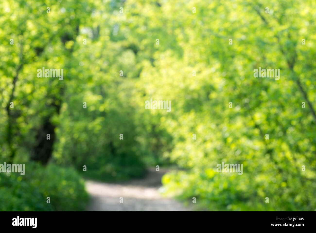 nature spring blurred countryside background Stock Photo - Alamy