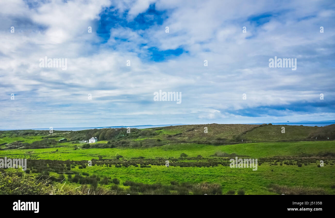 View of the green rural irish countryside, Ireland Stock Photo - Alamy
