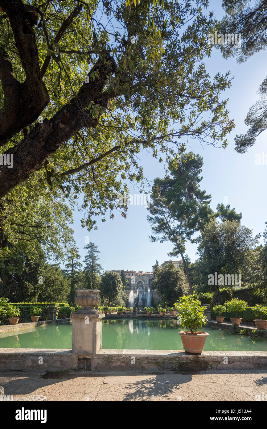 View towards the Fish Ponds, the Fountain of Neptune (Fontana di ...